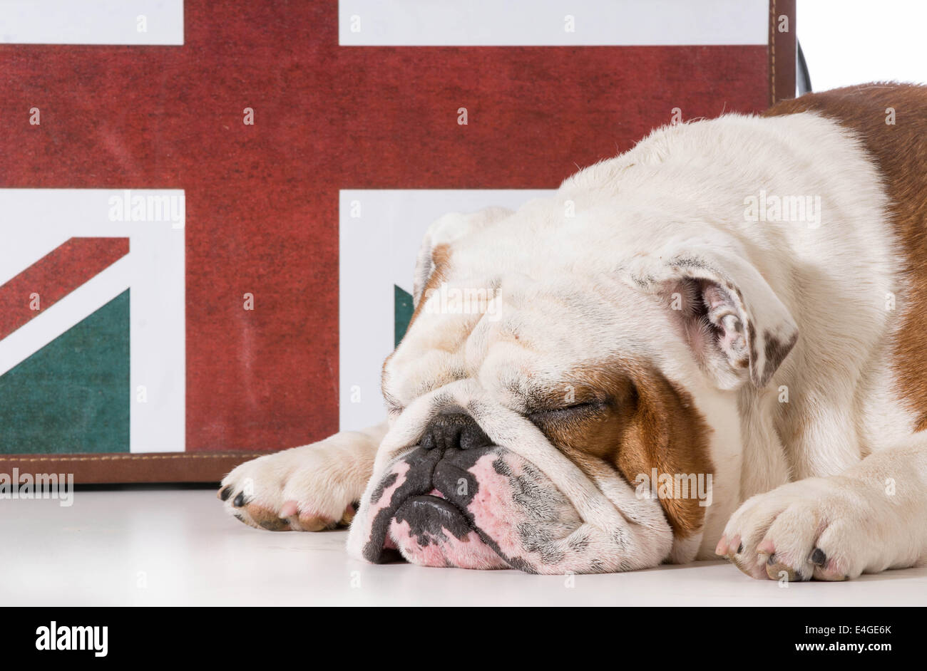 English bulldog flag hi-res stock photography and images - Alamy