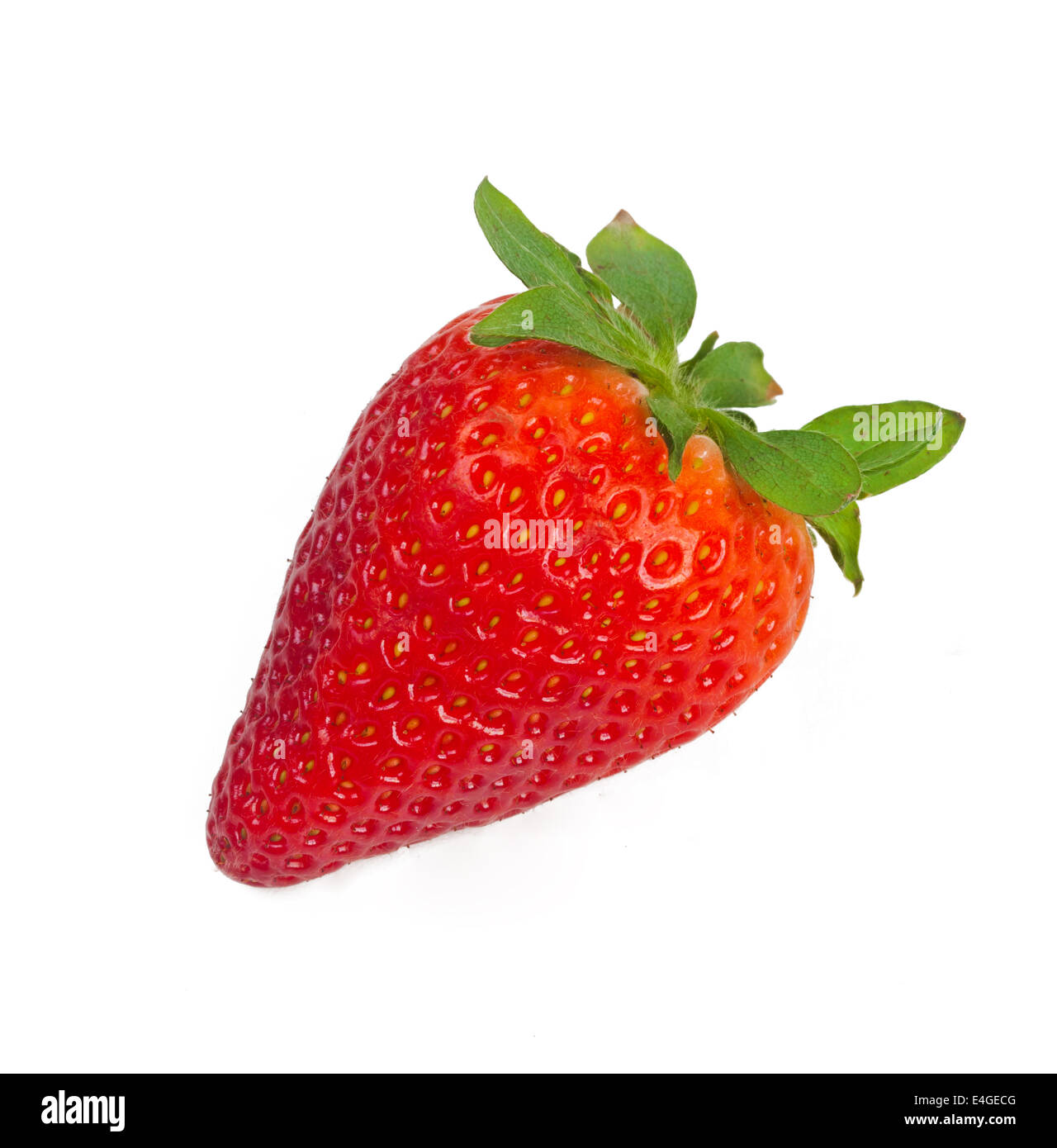 One strawberry isolated on white background Stock Photo - Alamy