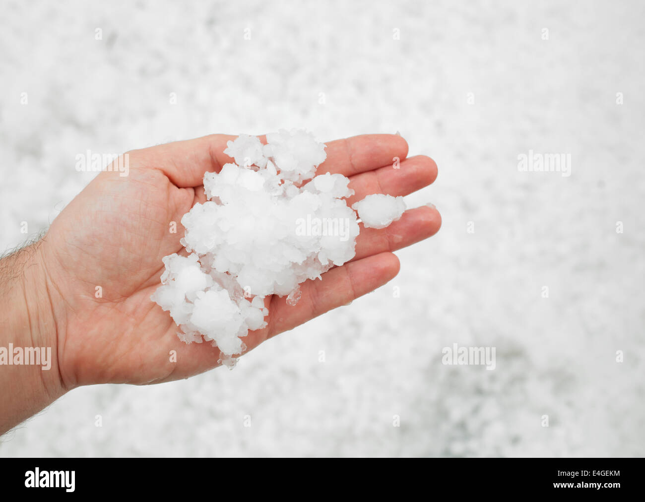 Small grains of hail in the hand Stock Photo - Alamy