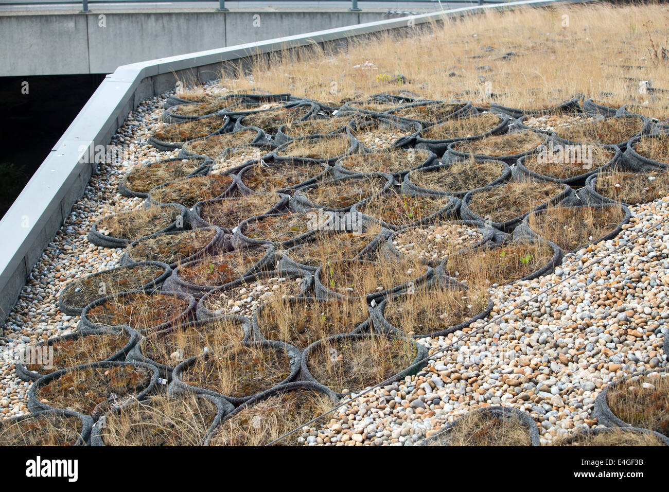 A green roof at the Crystal building which is the first building in the ...