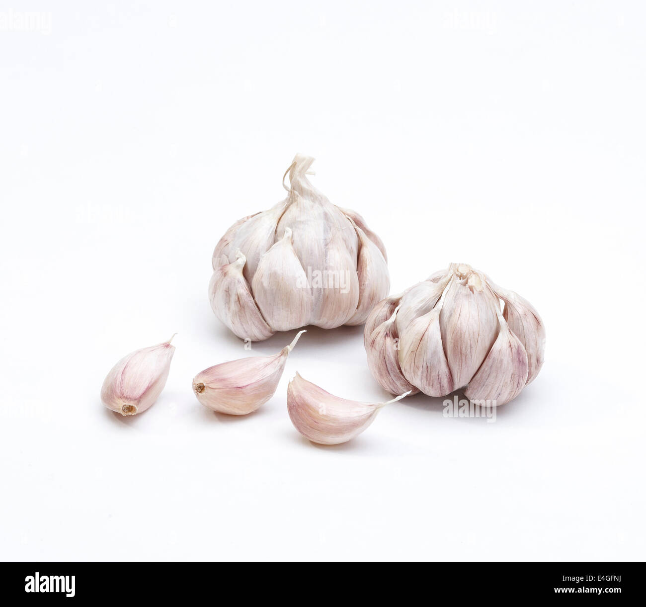 Asian garlics spread isolated on white background Stock Photo - Alamy