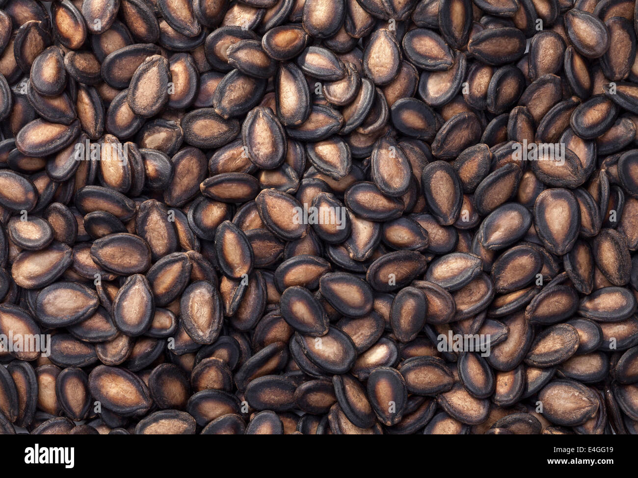 Watermelon seeds hi-res stock photography and images - Alamy