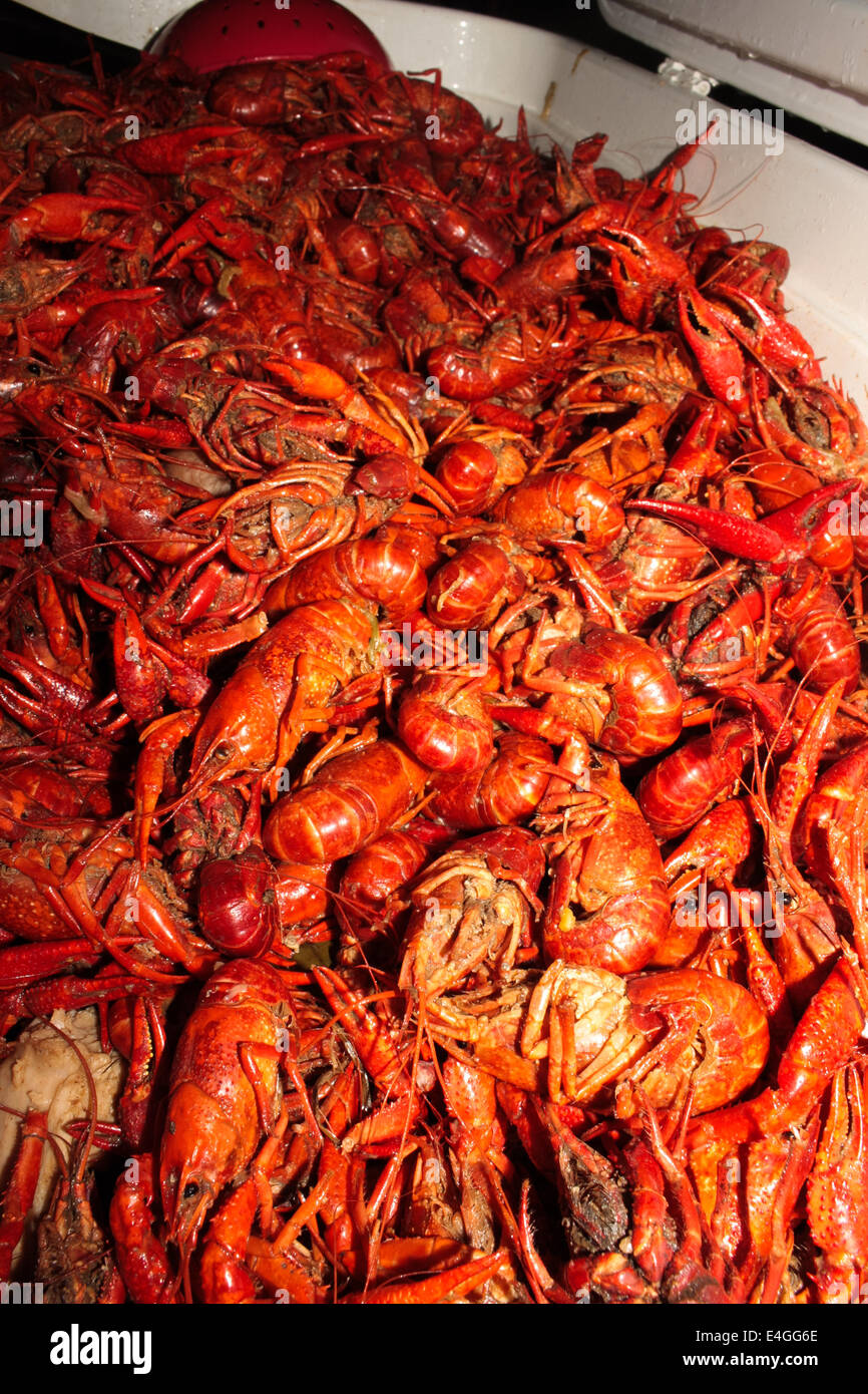 Many louisiana hi-res stock photography and images - Alamy