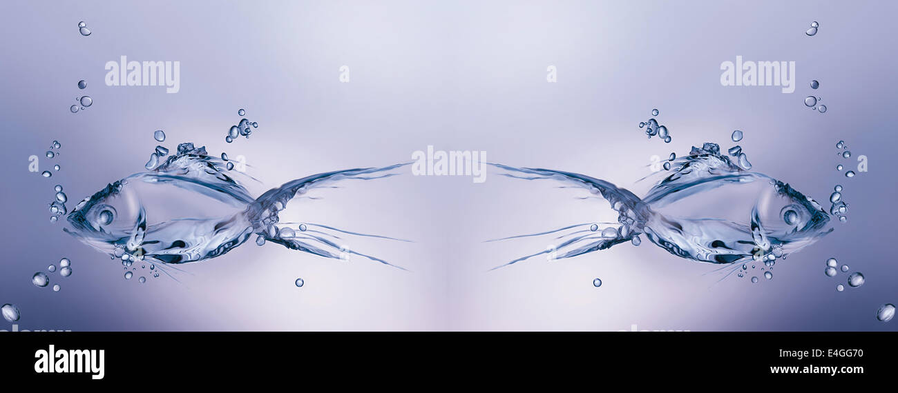 Two fish made of water swimming away from each other in water Stock ...
