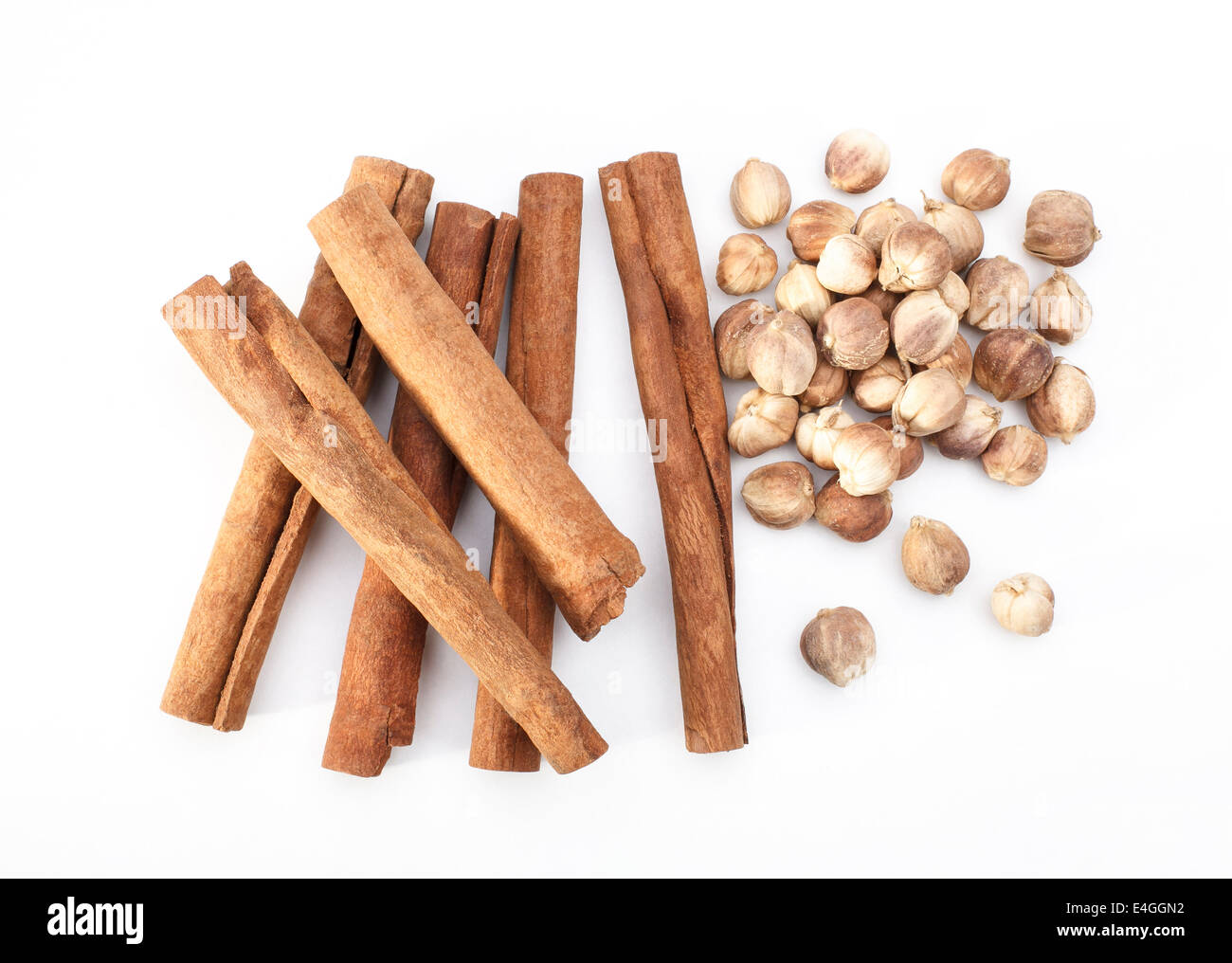 Cardamom and cinnamon sticks herbs for asian cooking food style ...