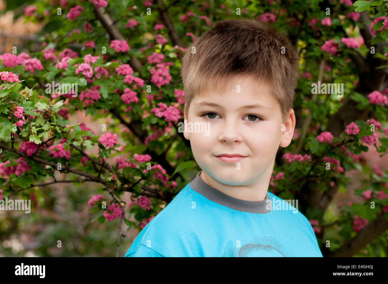 A boy near the a flowering tree Stock Photo - Alamy