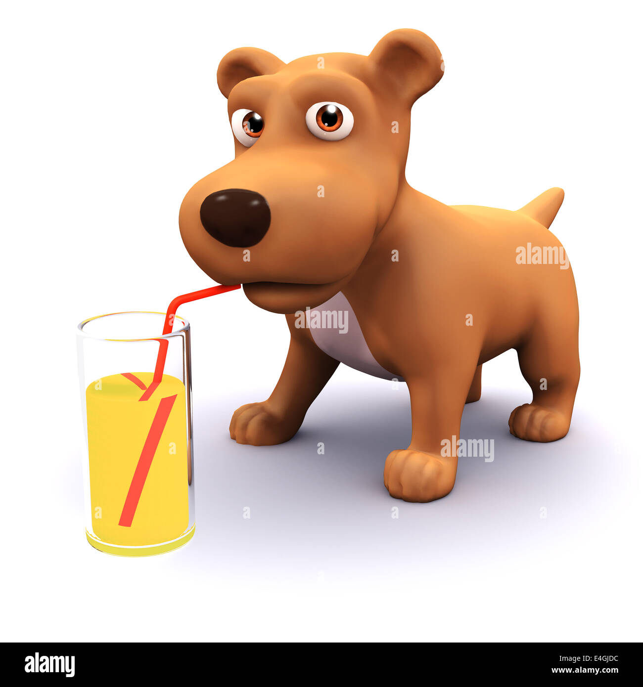 Dog drinking alcohol hi-res stock photography and images - Alamy