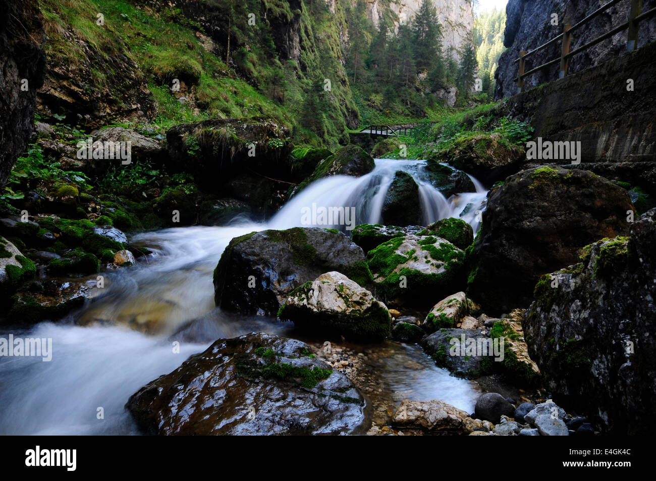 Moss and river hi-res stock photography and images - Alamy