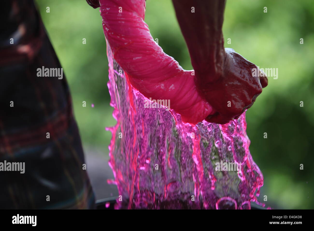 coloring febrics for making jamdani sharee. A sharee is the traditional ...