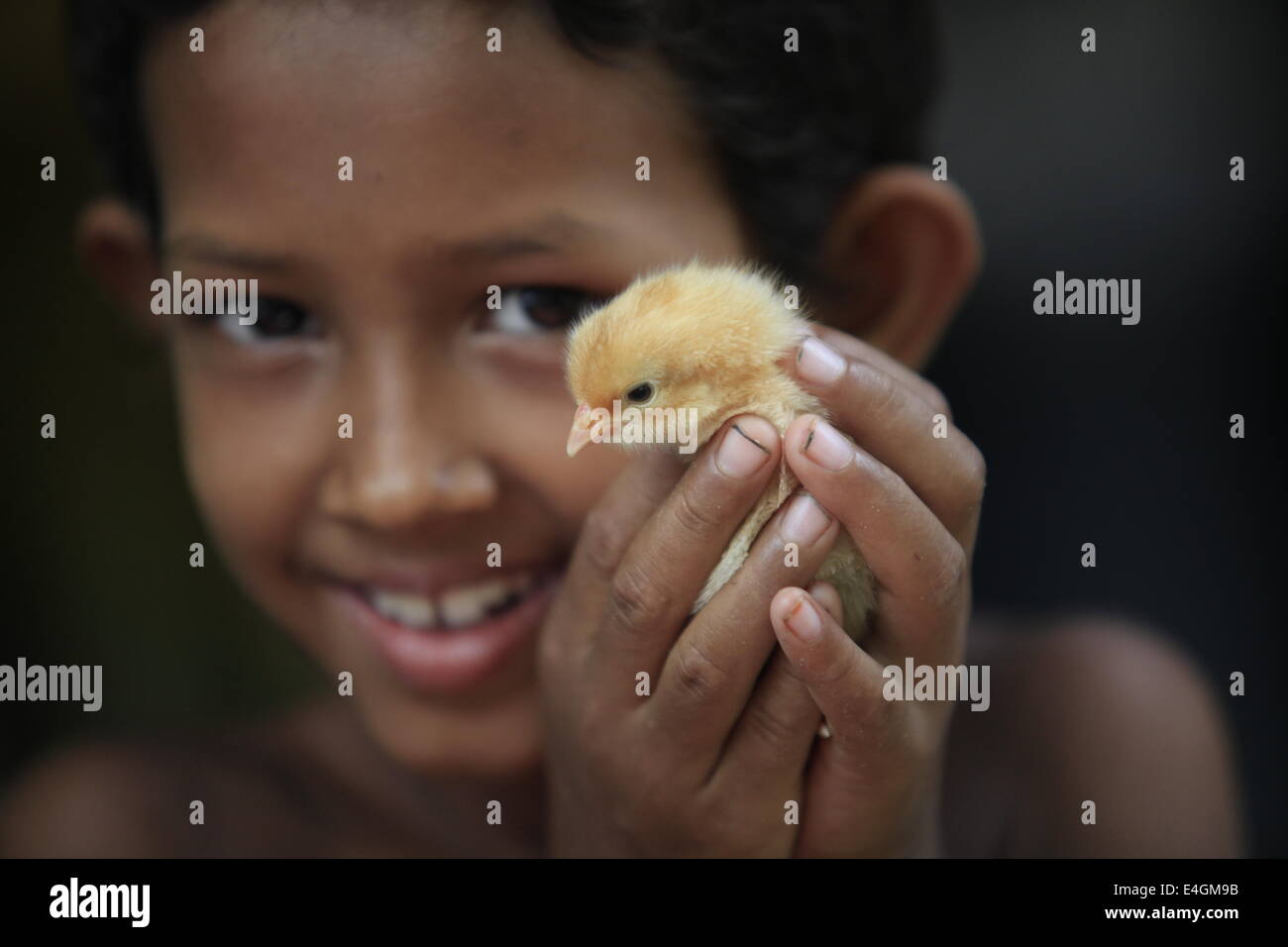 a child playing with chicken Stock Photo - Alamy
