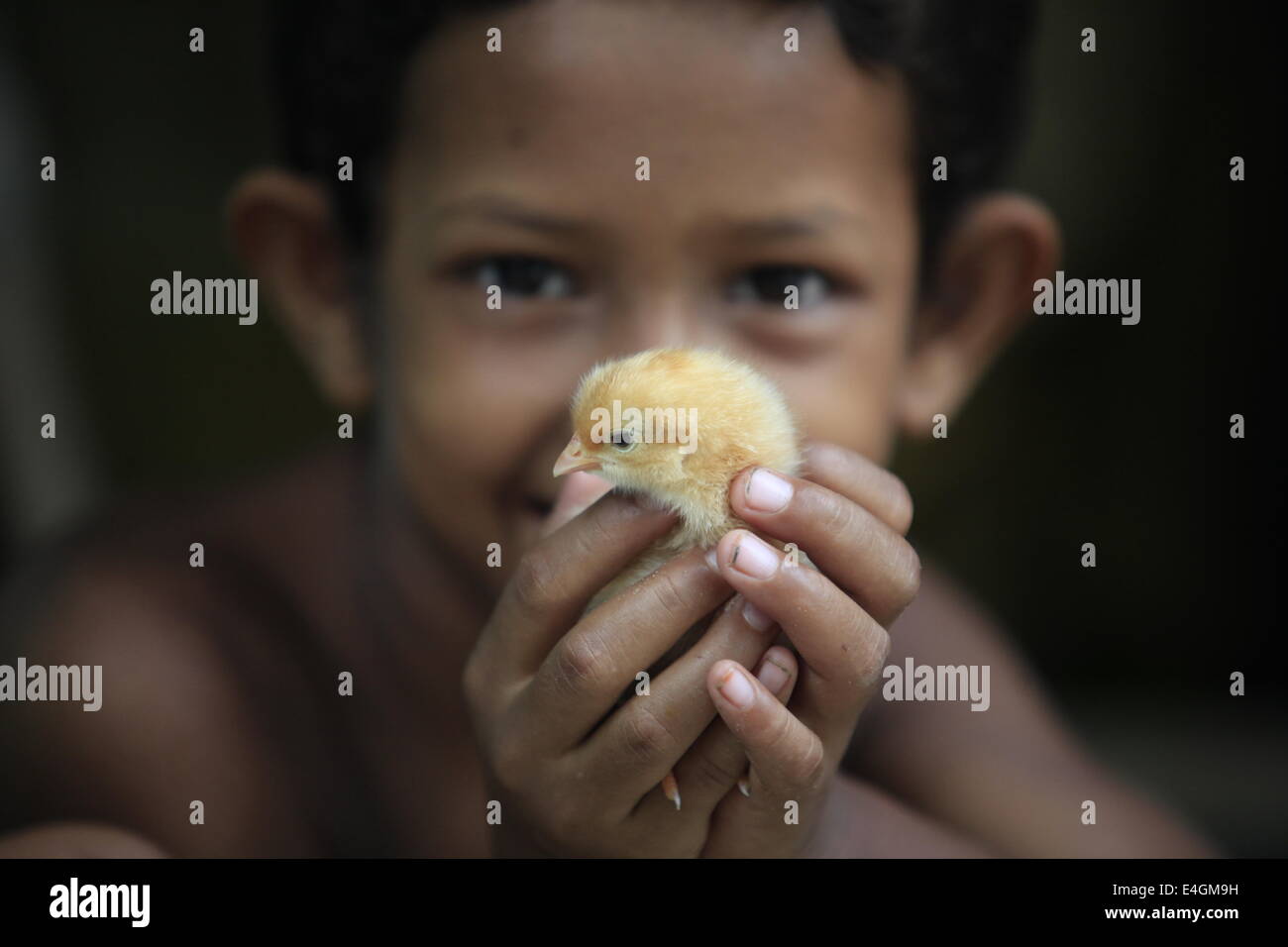 a child playing with chicken Stock Photo - Alamy