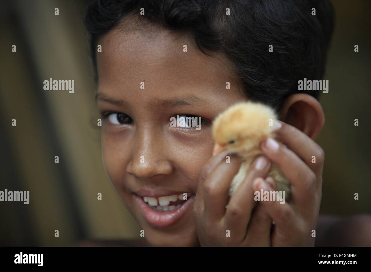 a child playing with chicken Stock Photo - Alamy