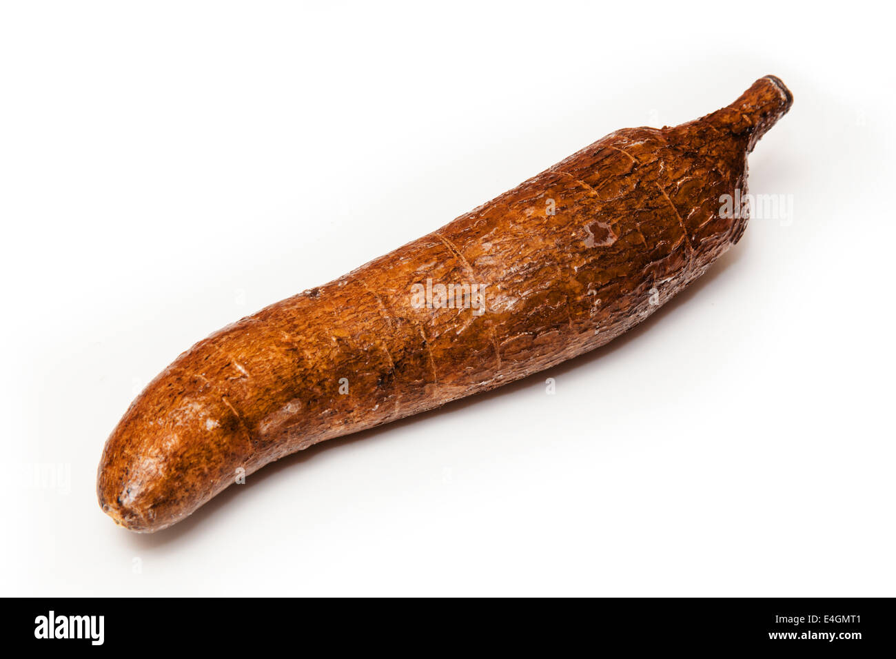 Manihot esculenta hi-res stock photography and images - Alamy