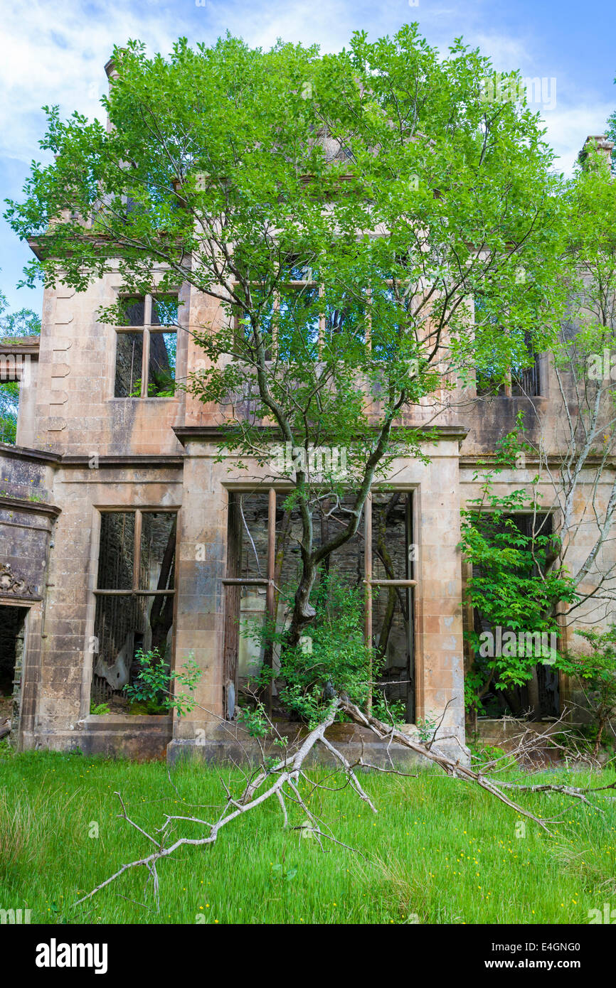 Poltalloch House, window with tree growing outward Stock Photo - Alamy