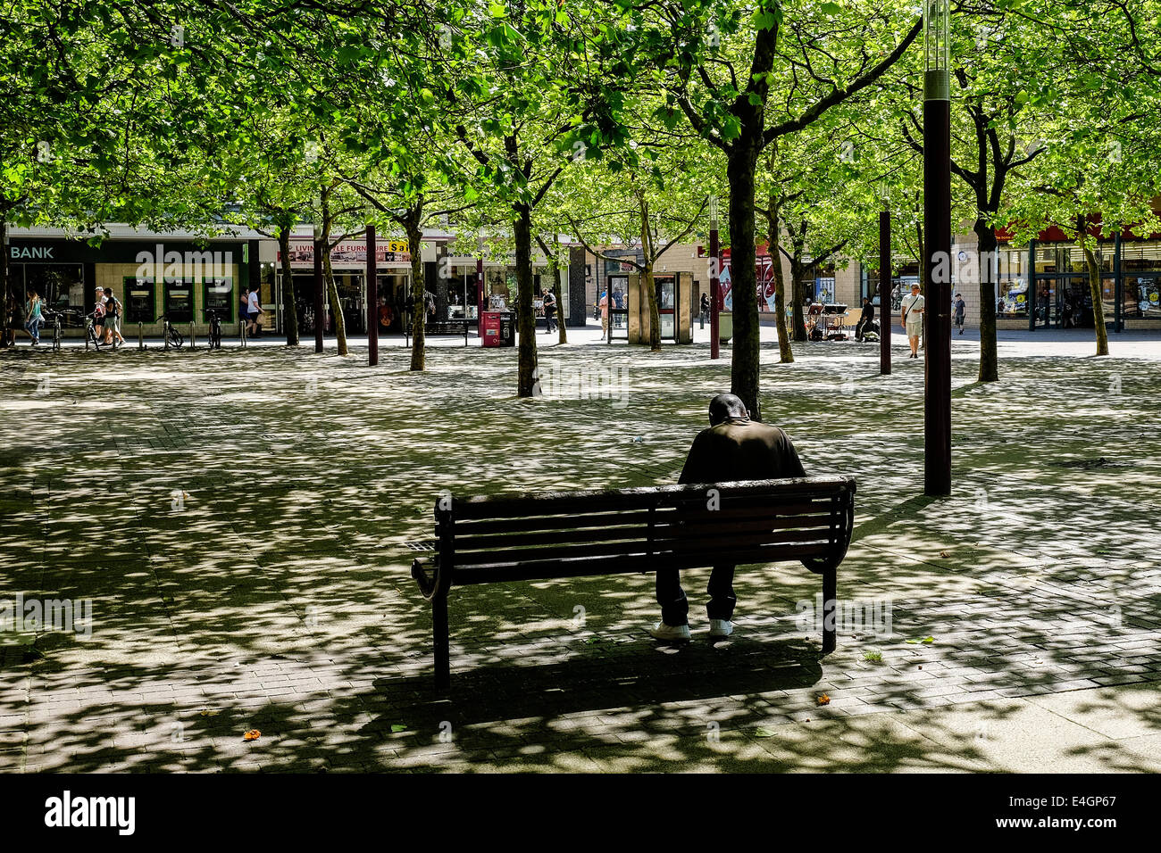 Dappled shadows hi-res stock photography and images - Alamy