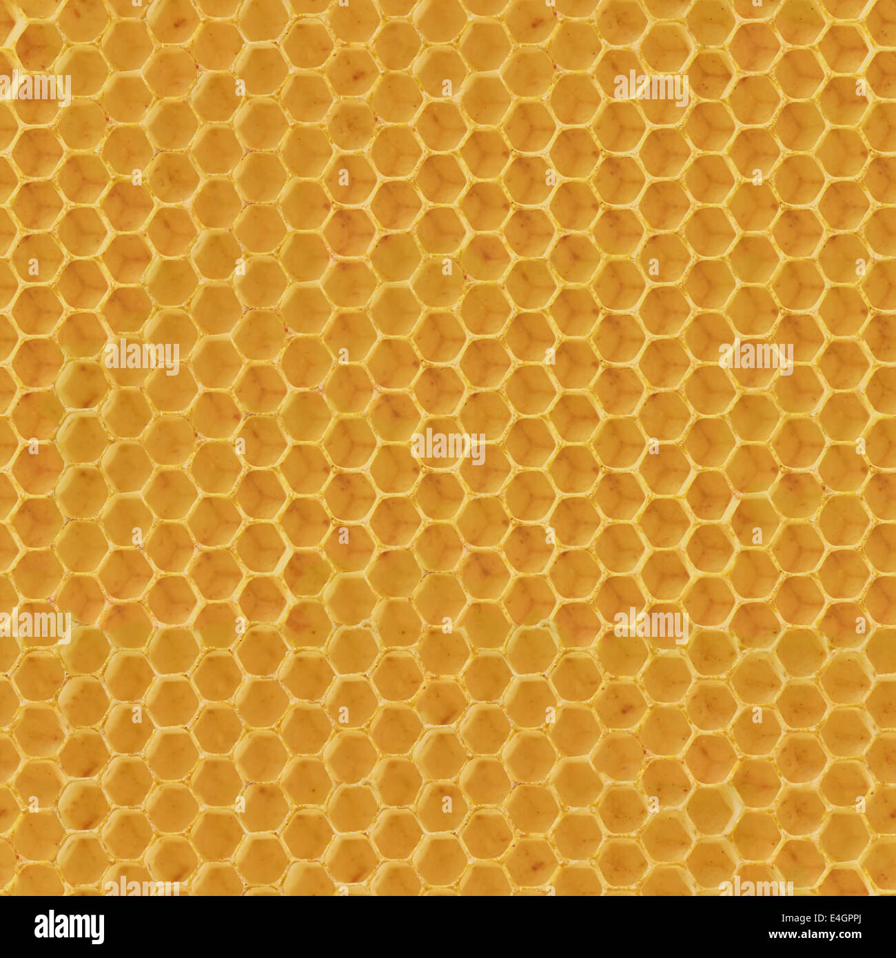 Realistic Seamless Texture of Honeycomb Stock Photo - Alamy