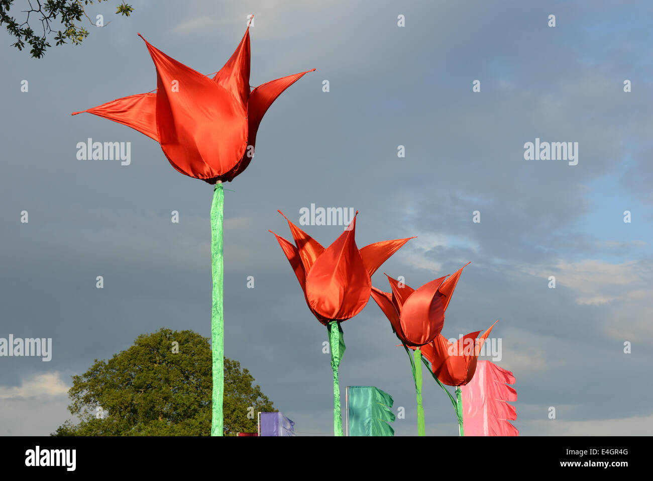 Tulip flags against threatening clouds, Cornbury Music Festival ...