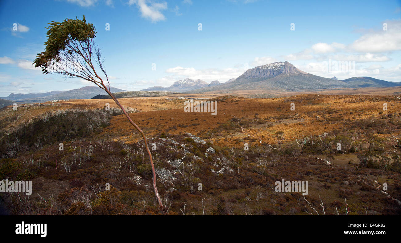 Claire mount hi-res stock photography and images - Alamy