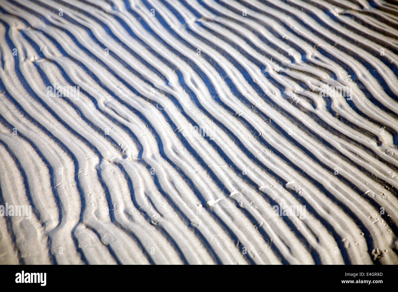 Ripples in Sand on Beach Tide is out Mornington Peninsula Victoria ...