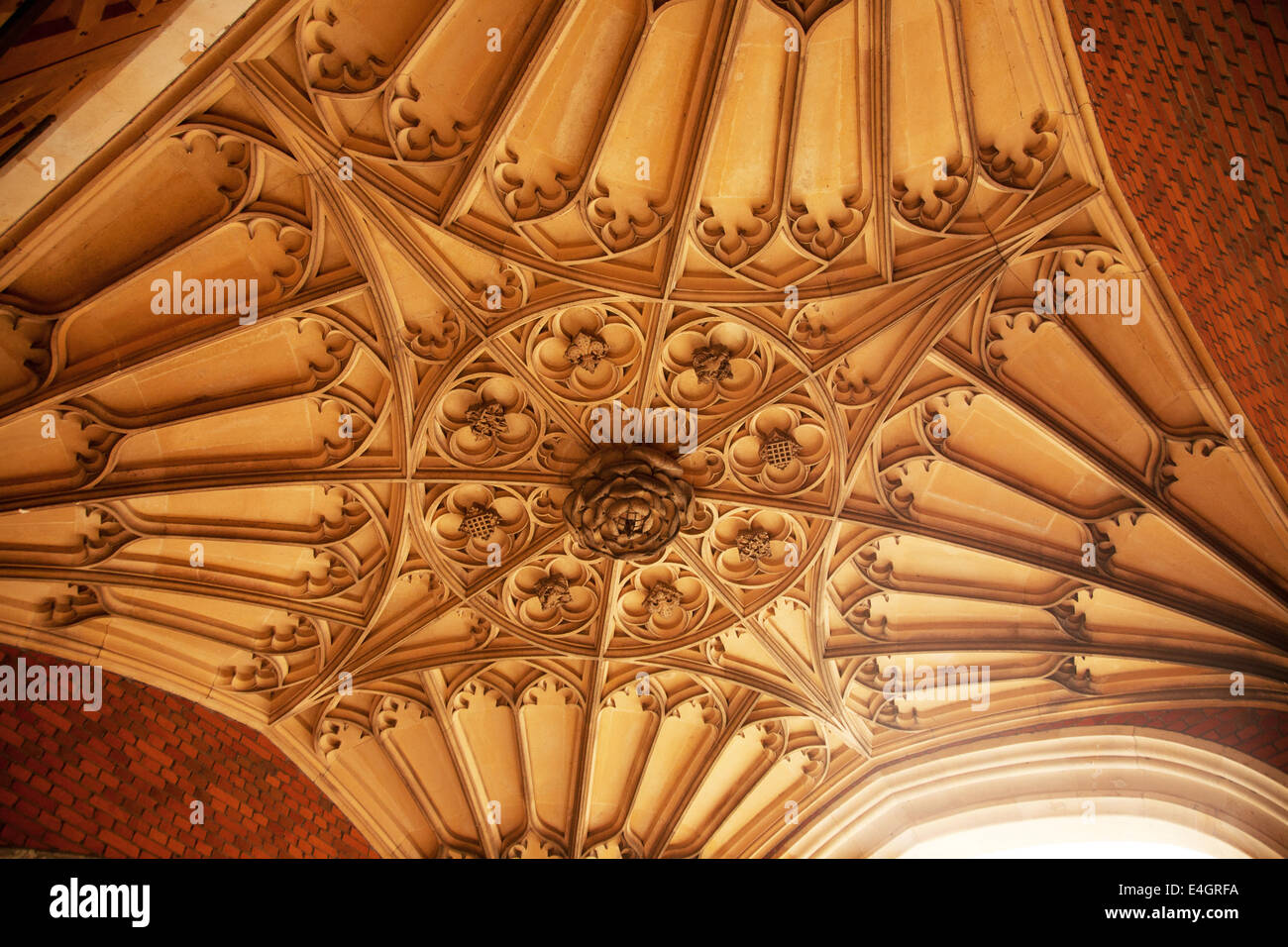 Tudor rose ceiling relief at Hampton Court Palace,UK Stock Photo - Alamy