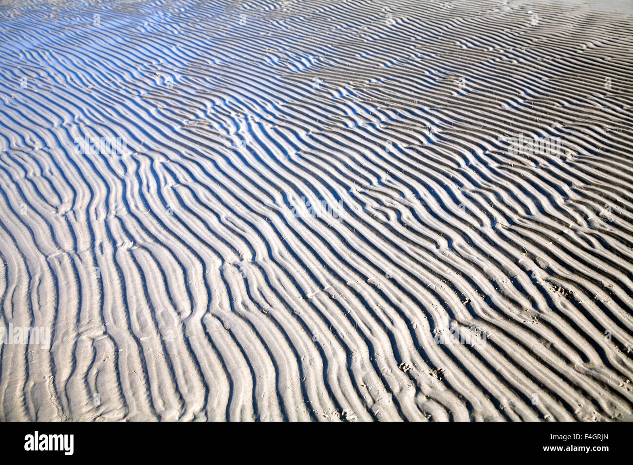Ripples in Sand on Beach Tide is out Mornington Peninsula Victoria ...