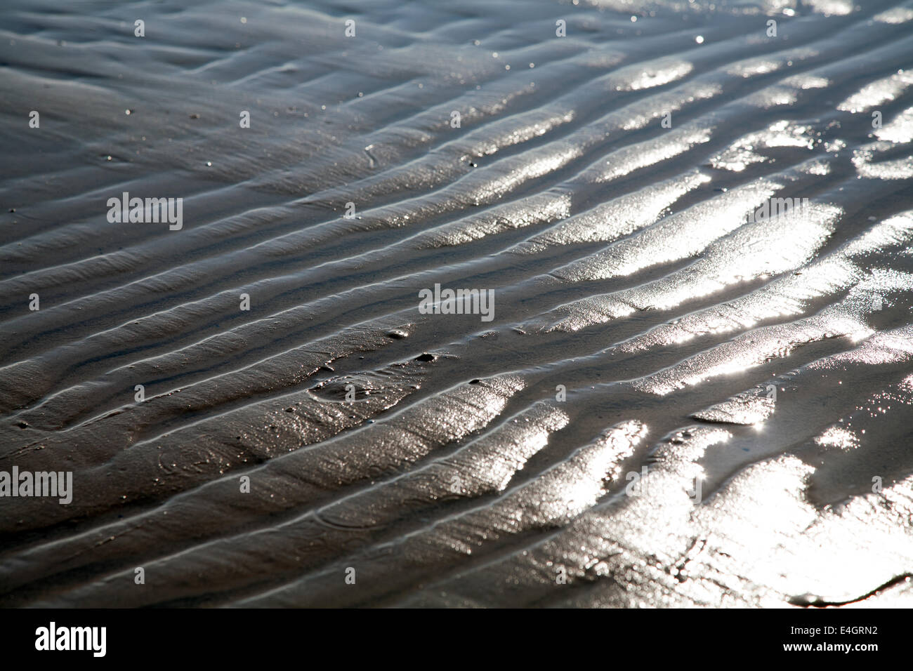 Ripples in Sand on Beach Tide is out Mornington Peninsula Victoria ...