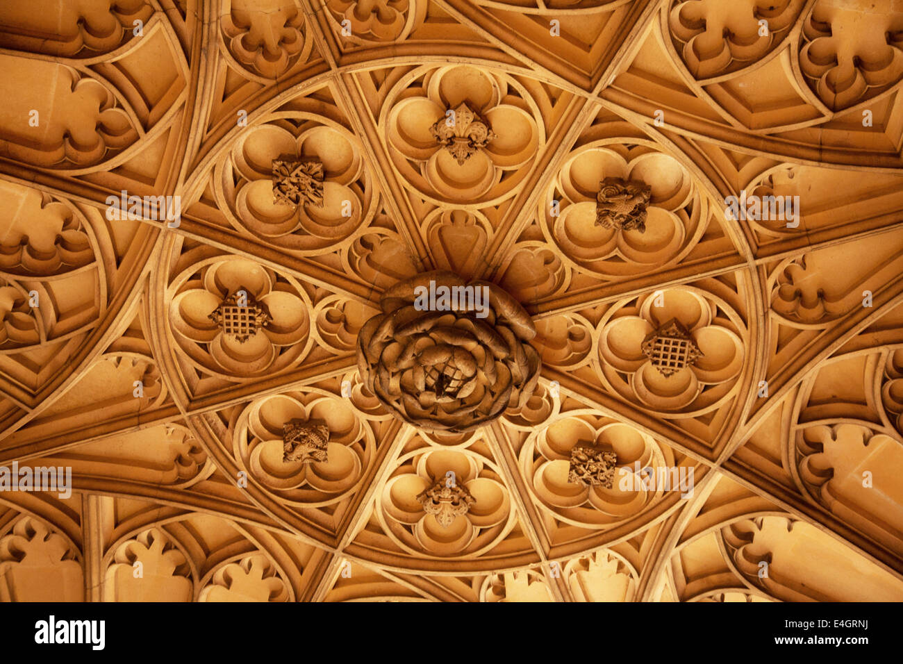 Tudor rose ceiling relief at Hampton court palace,UK Stock Photo - Alamy