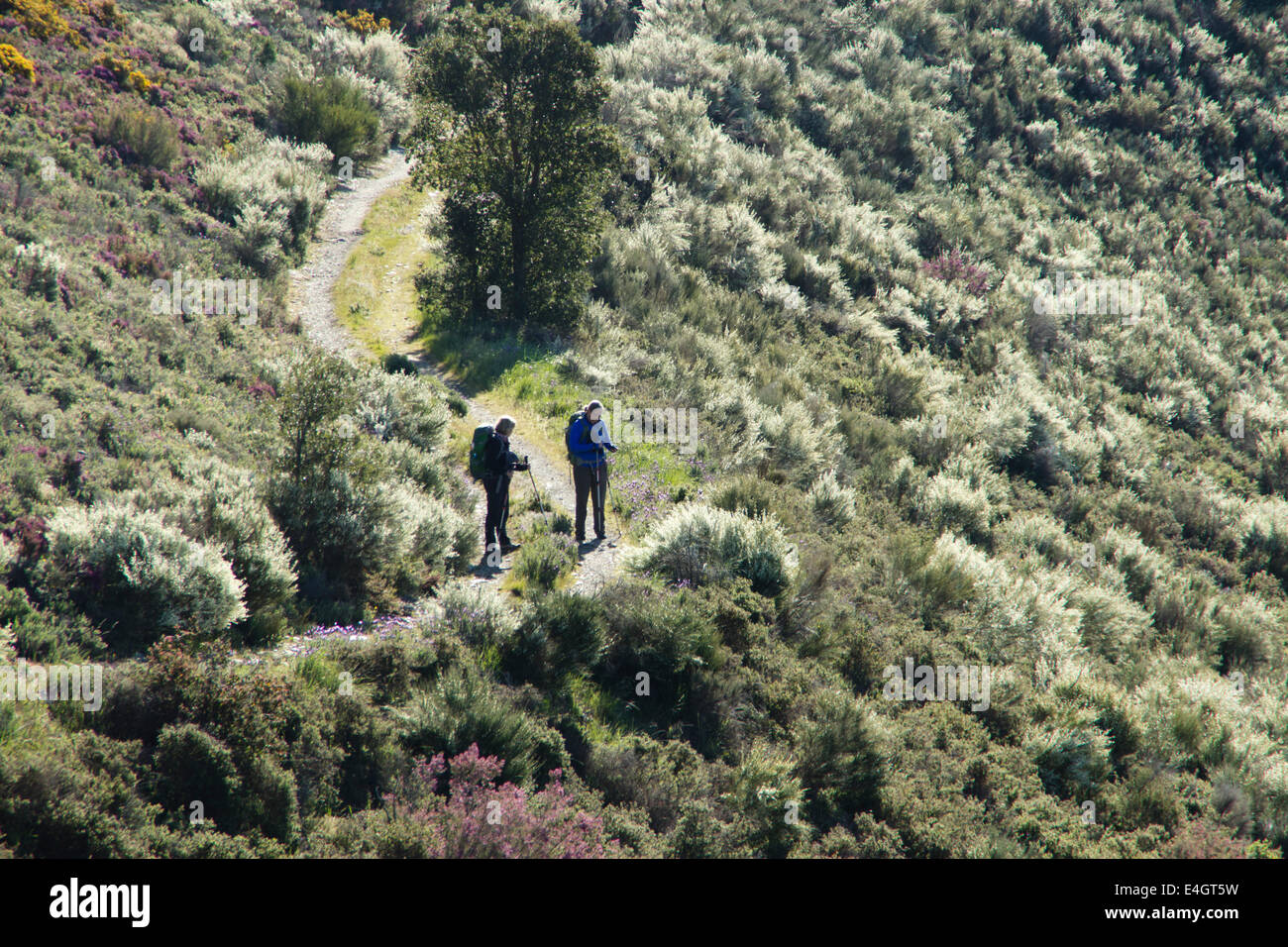 Pilgrims on the great walk of St. James, Jakobsweg, Camino de Santiago ...