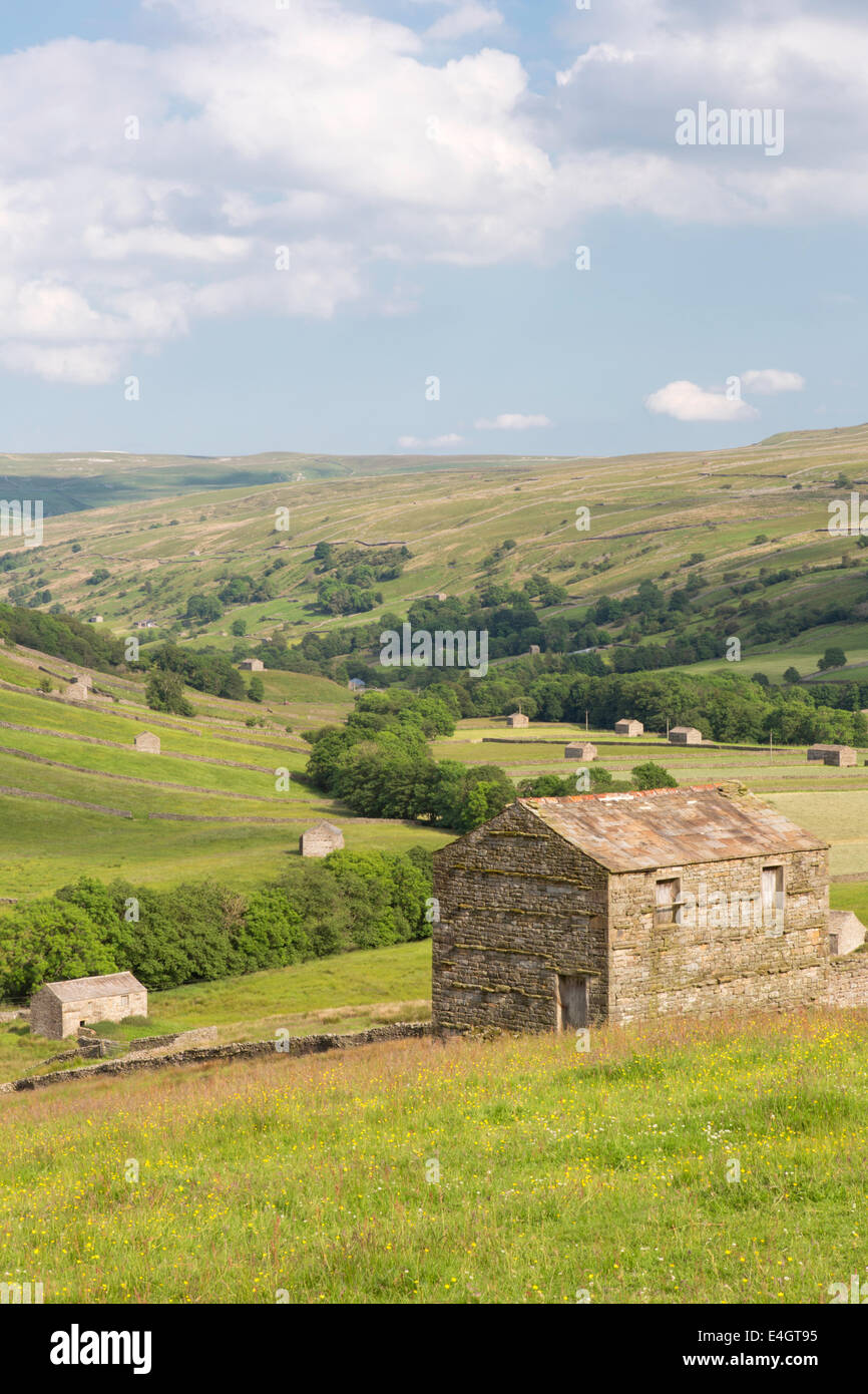 Evening light over upper Swaledale, Yorkshire Dales National Park ...
