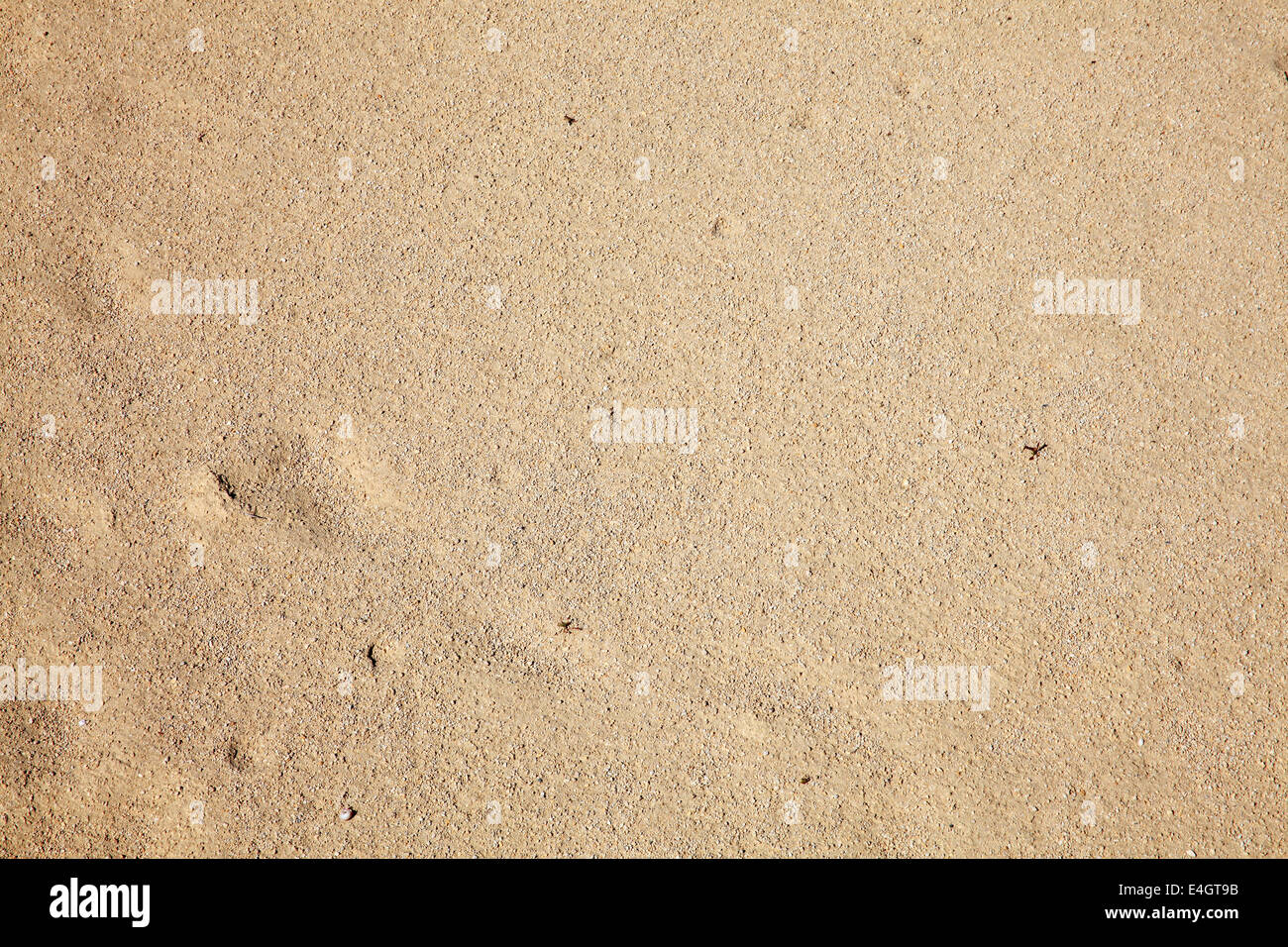 Wet beach sand hi-res stock photography and images - Alamy