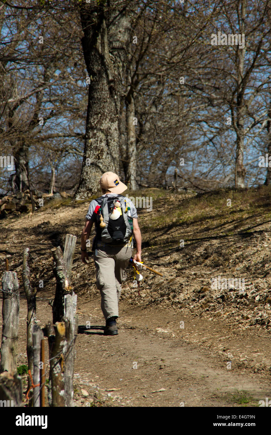 Pilgrim on the great walk of St. James, Jakobsweg, Camino de Santiago ...