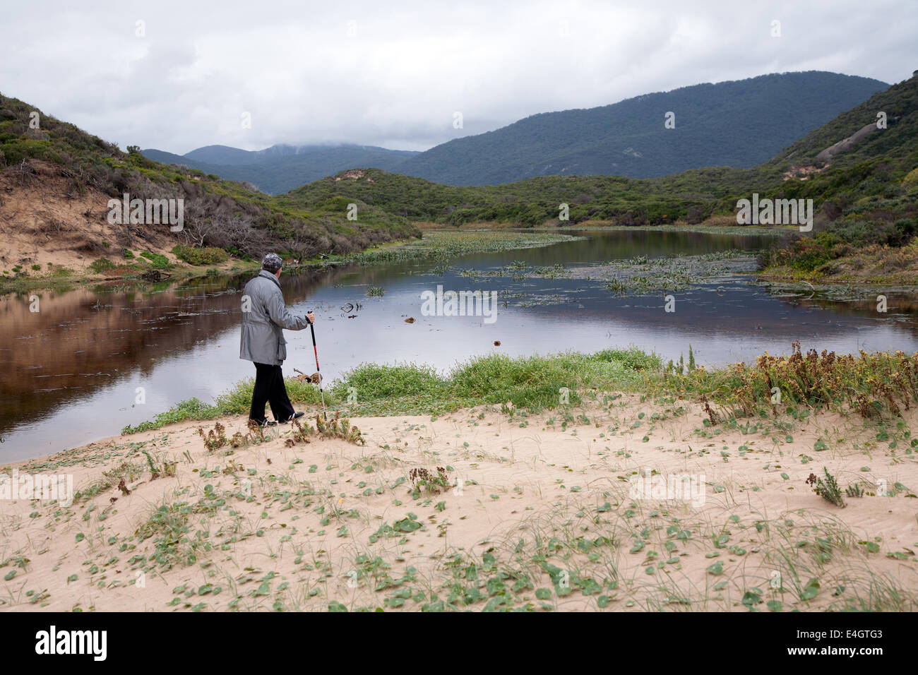 An Elderly lady rambling or walking near Darby river on Darby beach in ...