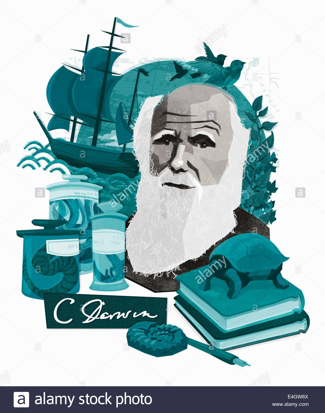 Charles Darwin Specimen Stock Photos & Charles Darwin Specimen Stock ...
