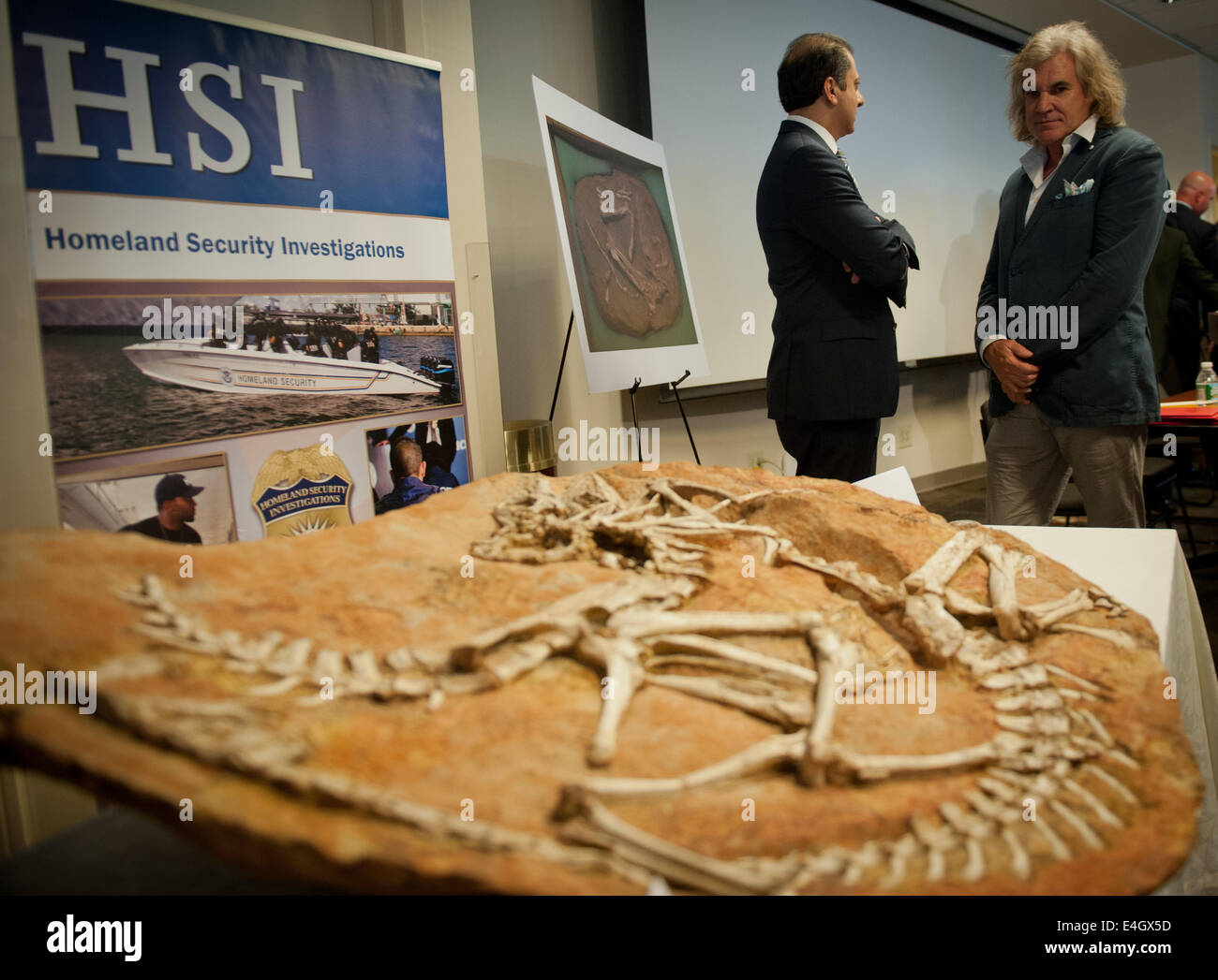 Norell dinosaur hi-res stock photography and images - Alamy