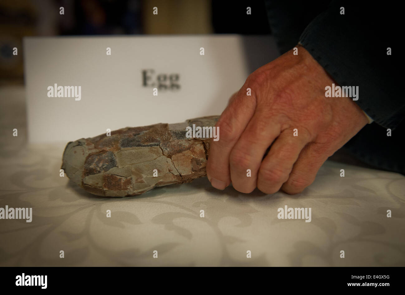 July 10, 2014 - Manhattan, New York, U.S. - Dr. MARK NORELL, Division ...