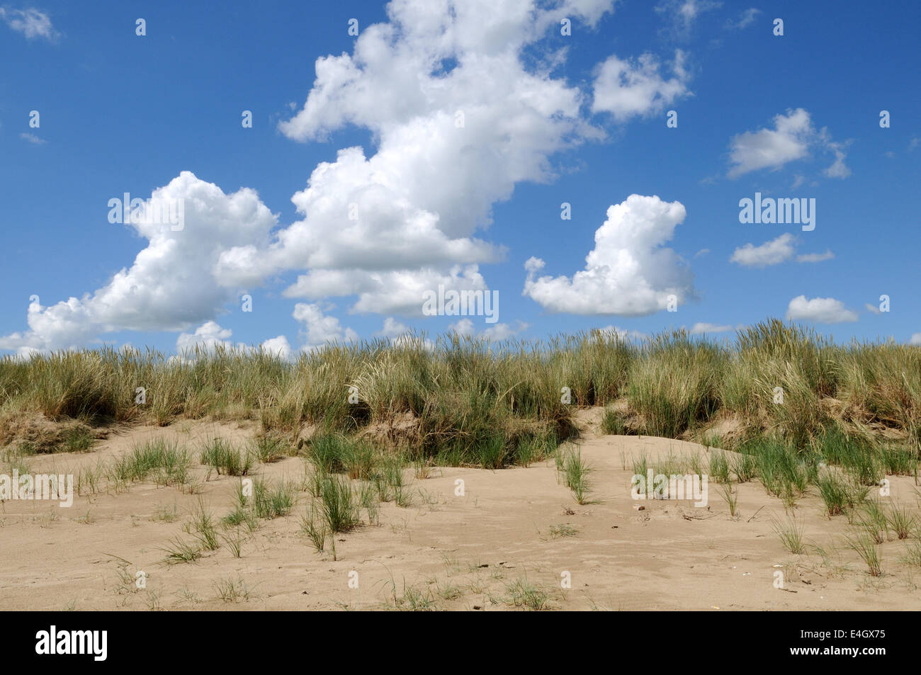 Ginst point pendine hi-res stock photography and images - Alamy