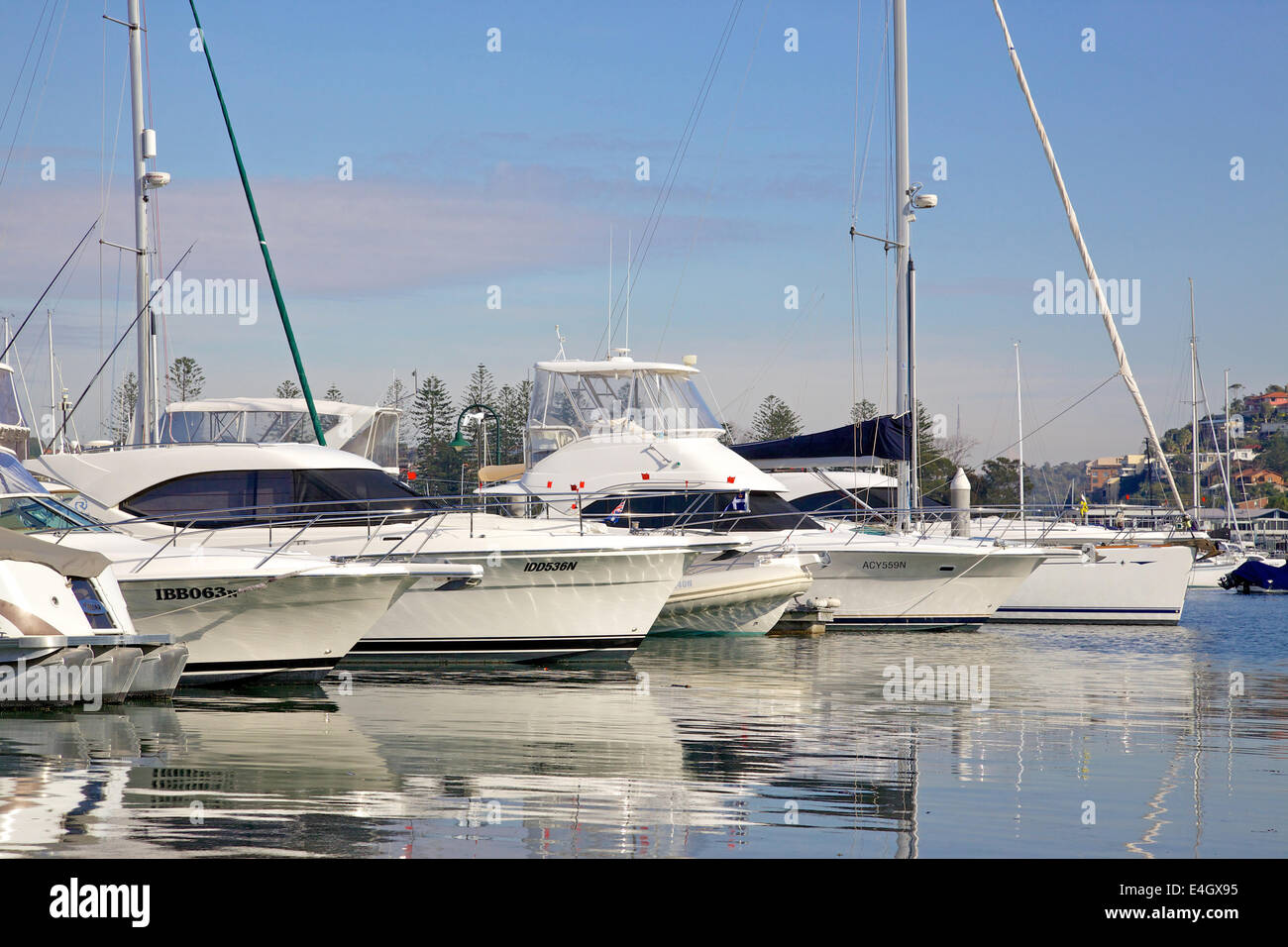 An assortment of white pleasure craft moored in Middle Harbour in ...