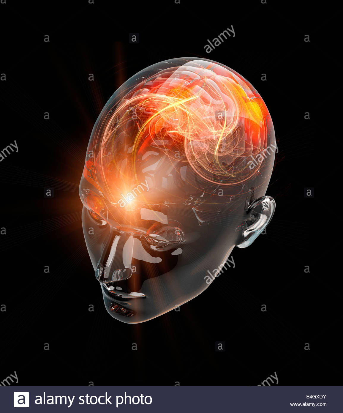Human Brain Cells Stock Photos & Human Brain Cells Stock Images - Alamy