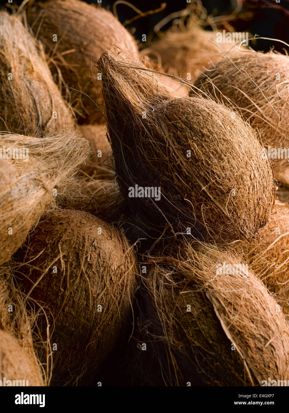 Coconut tree uses hi-res stock photography and images - Alamy