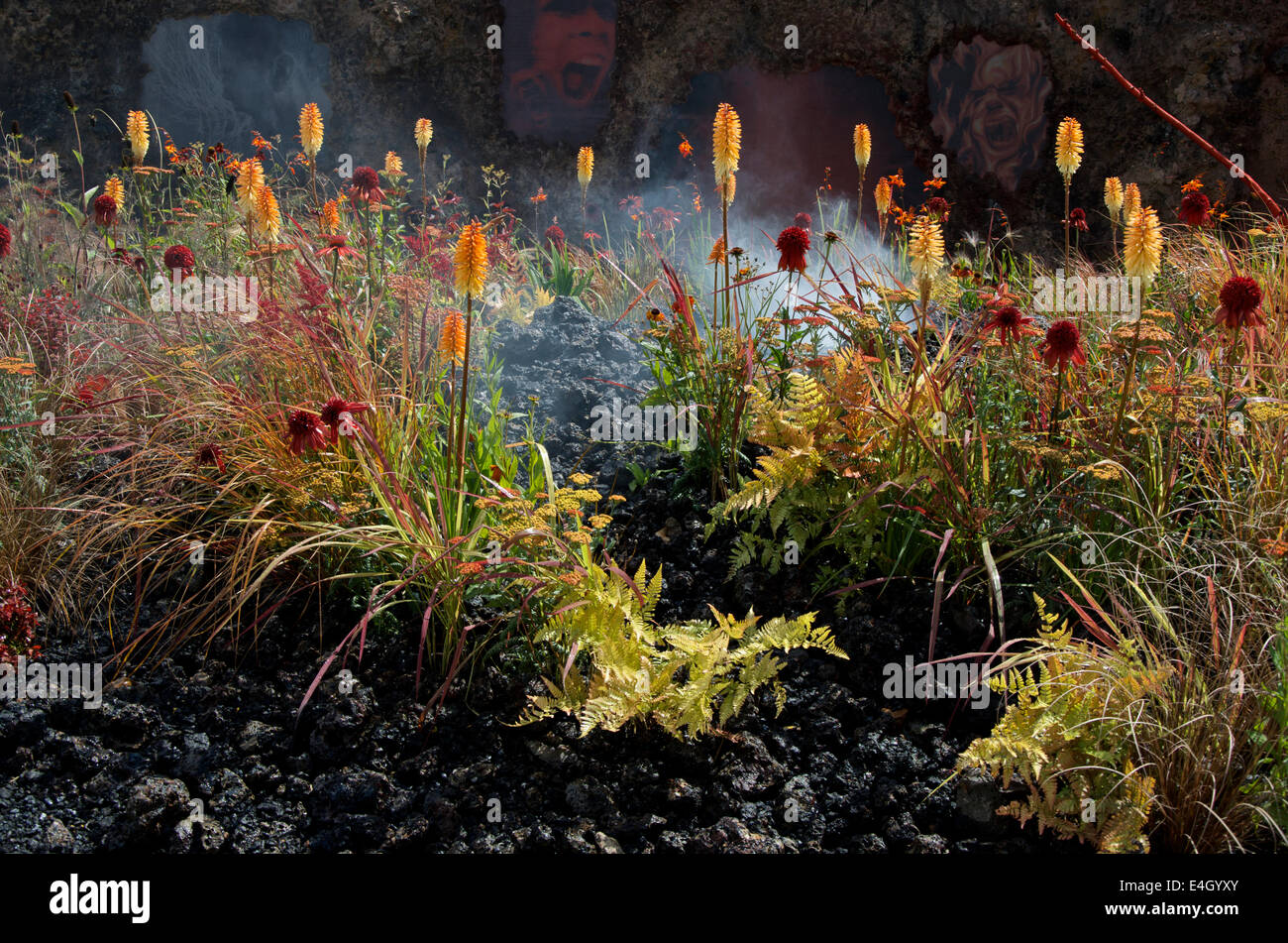 Gold medal winning Conceptual Garden, Wrath - Eruption of Unhealed ...