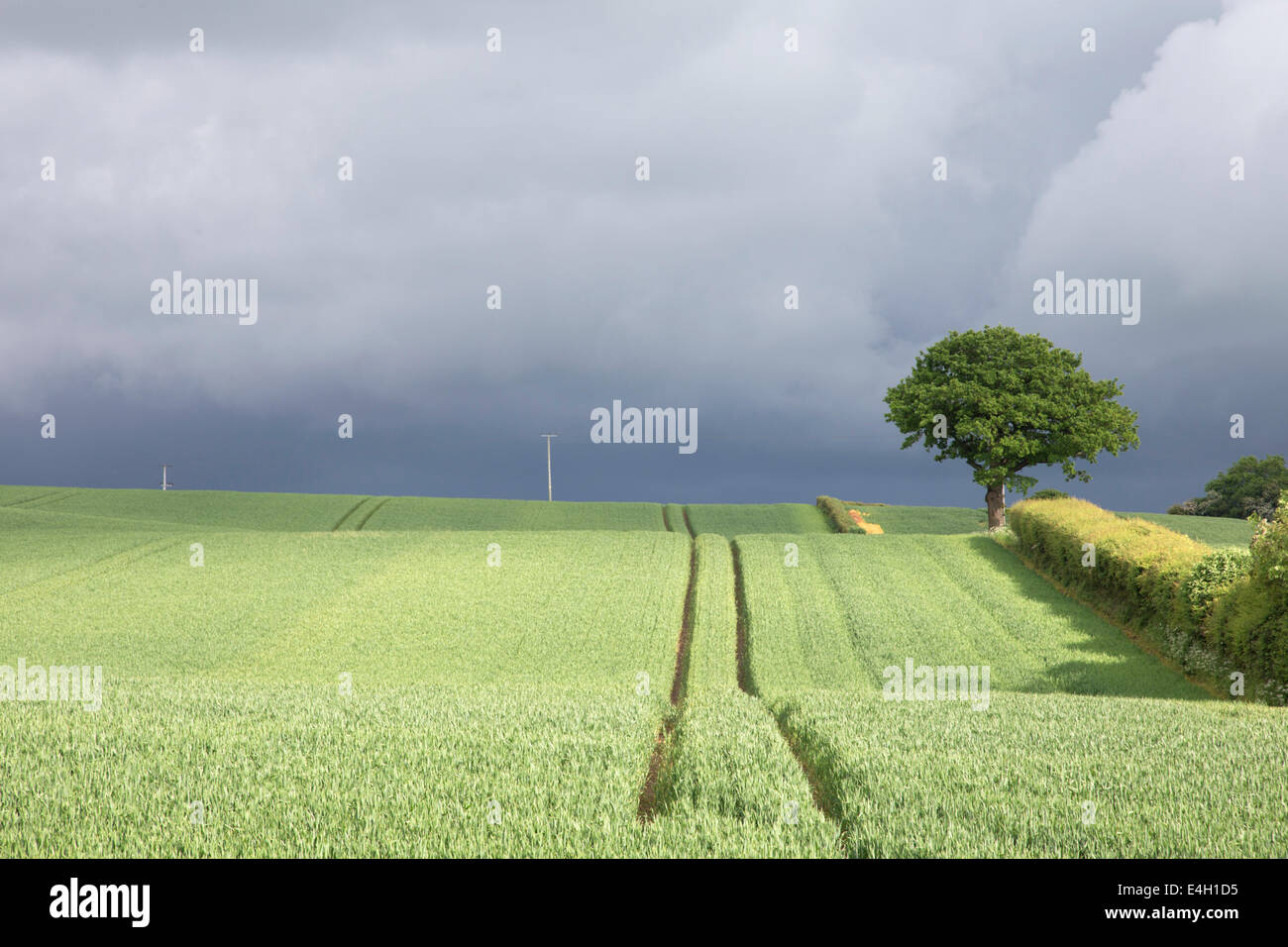 Storm clouds over farmland, England, UK Stock Photo - Alamy