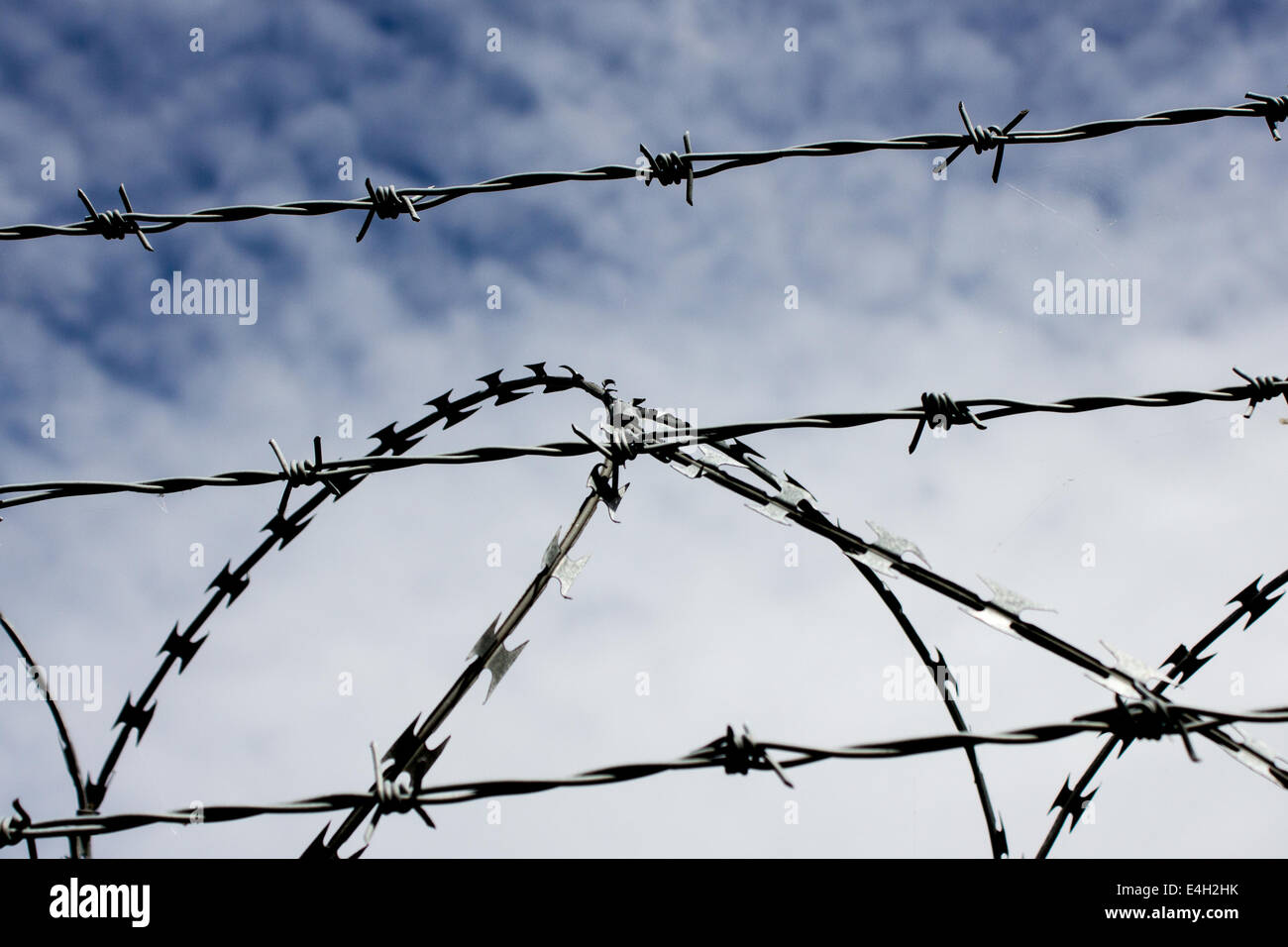Coil of razor wire hi-res stock photography and images - Alamy