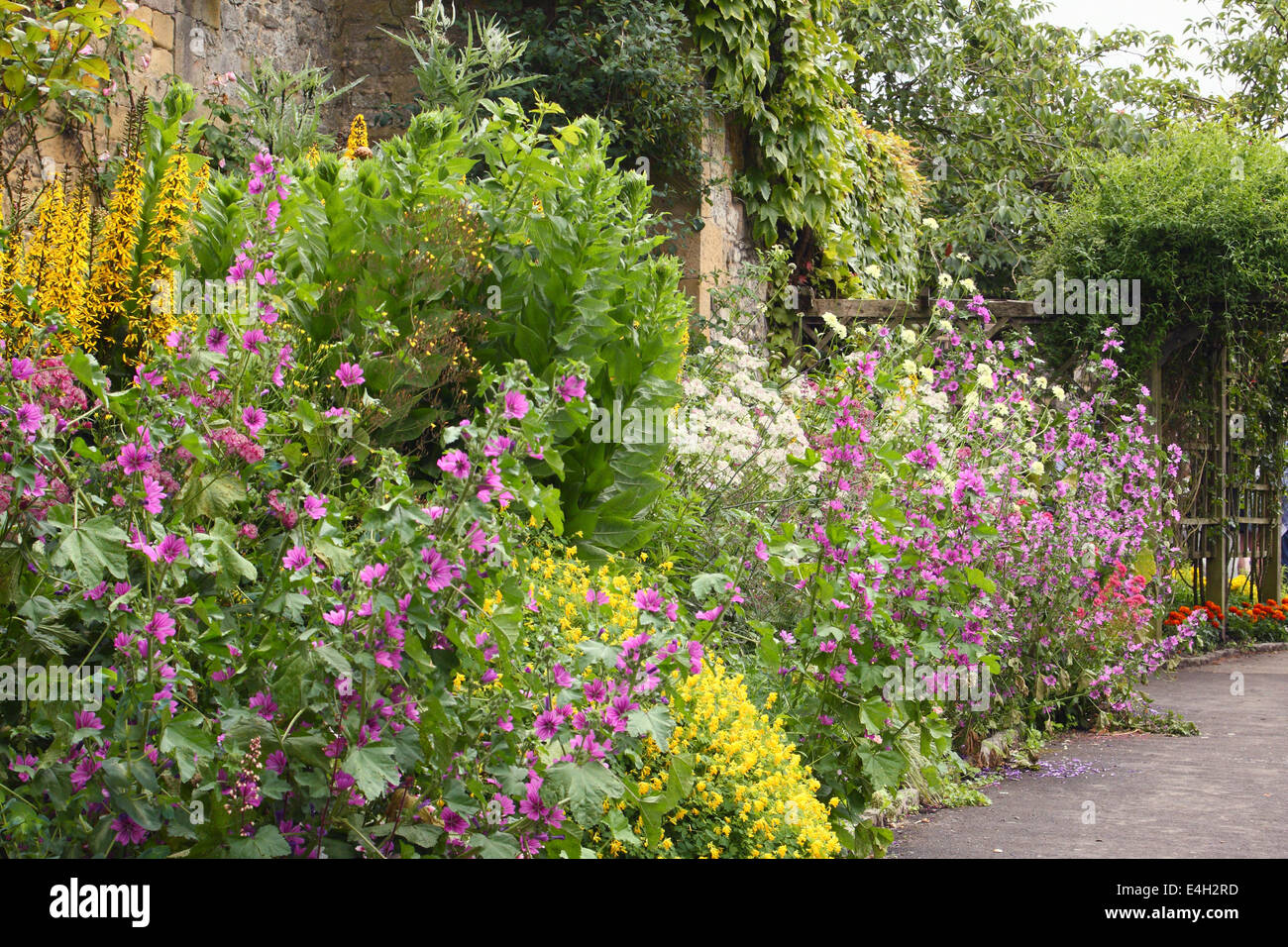 A profusion of plants embellish a flower border in Bath Gardens, a ...