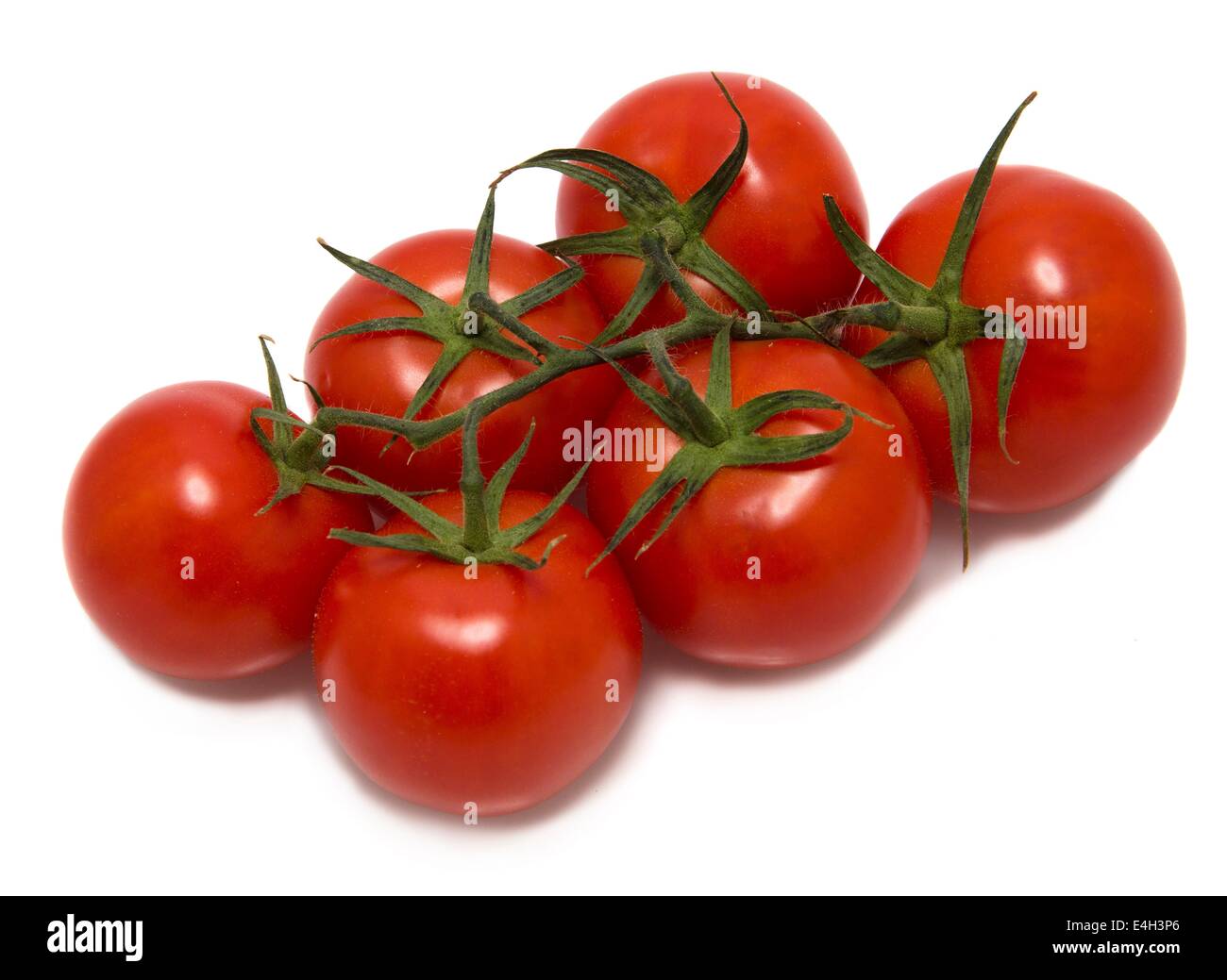 Tomatoies hi-res stock photography and images - Alamy