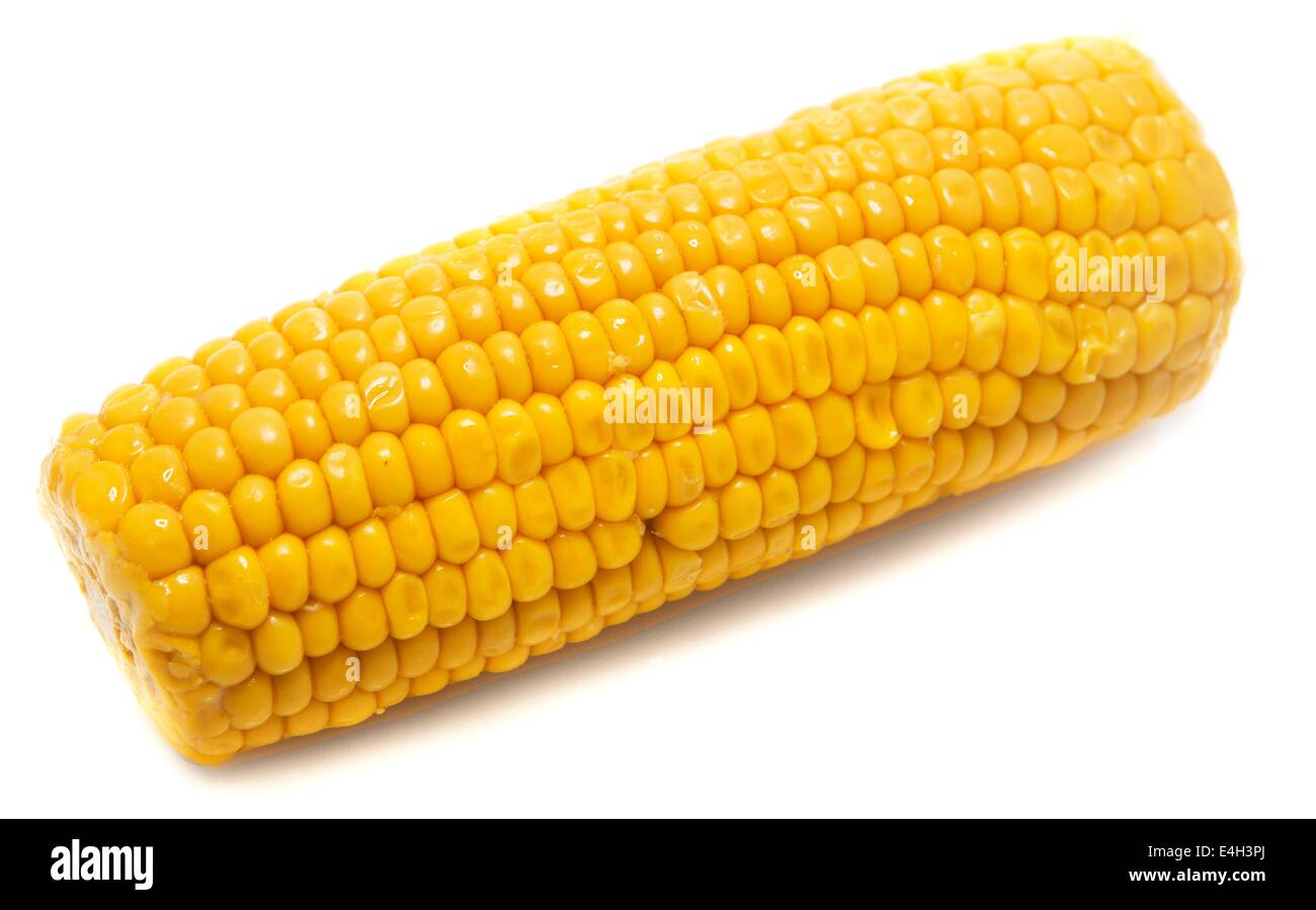 Maize yield Cut Out Stock Images & Pictures - Alamy