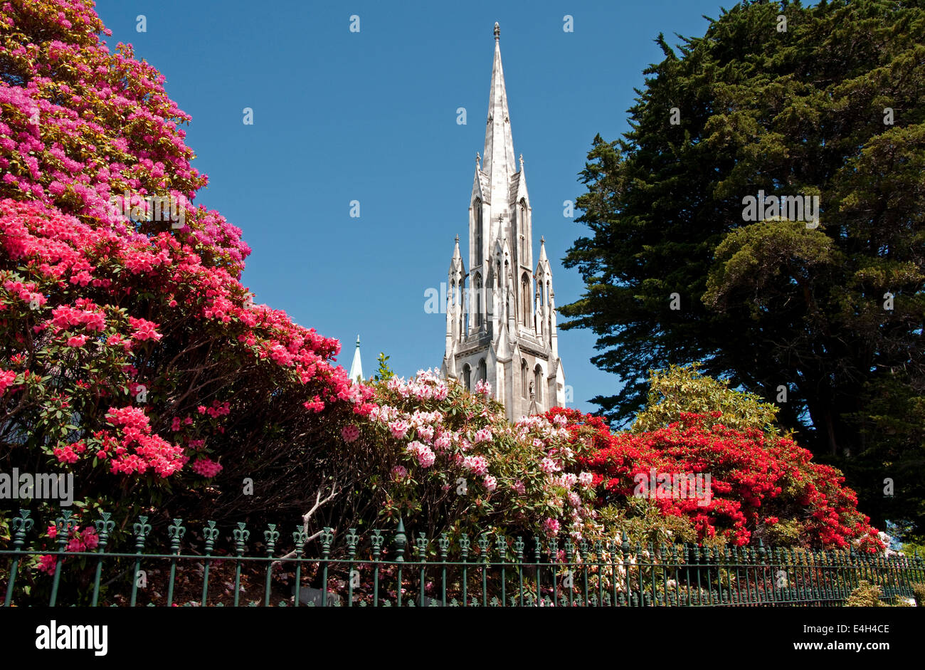 The First Church of Otago in Dunedin, New Zealand Stock Photo - Alamy