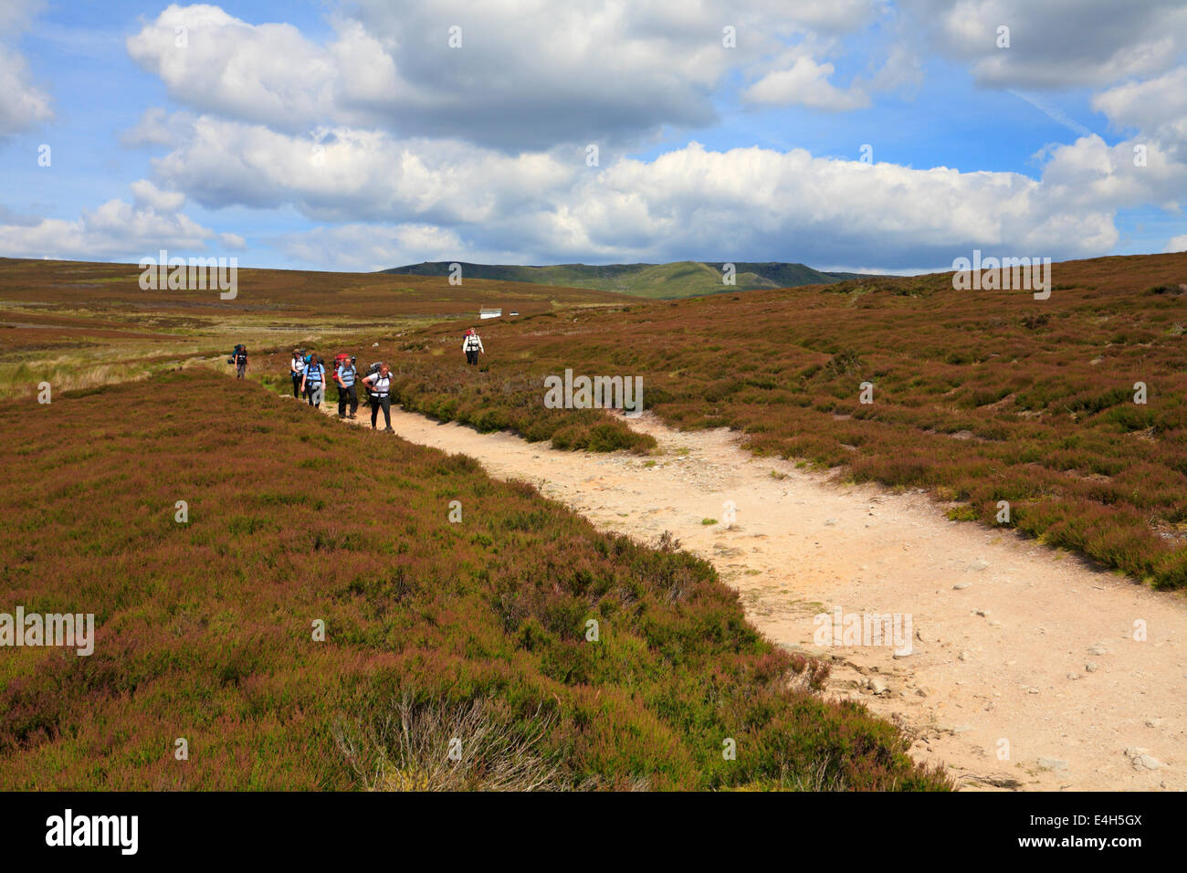 Snake path kinder hi-res stock photography and images - Alamy