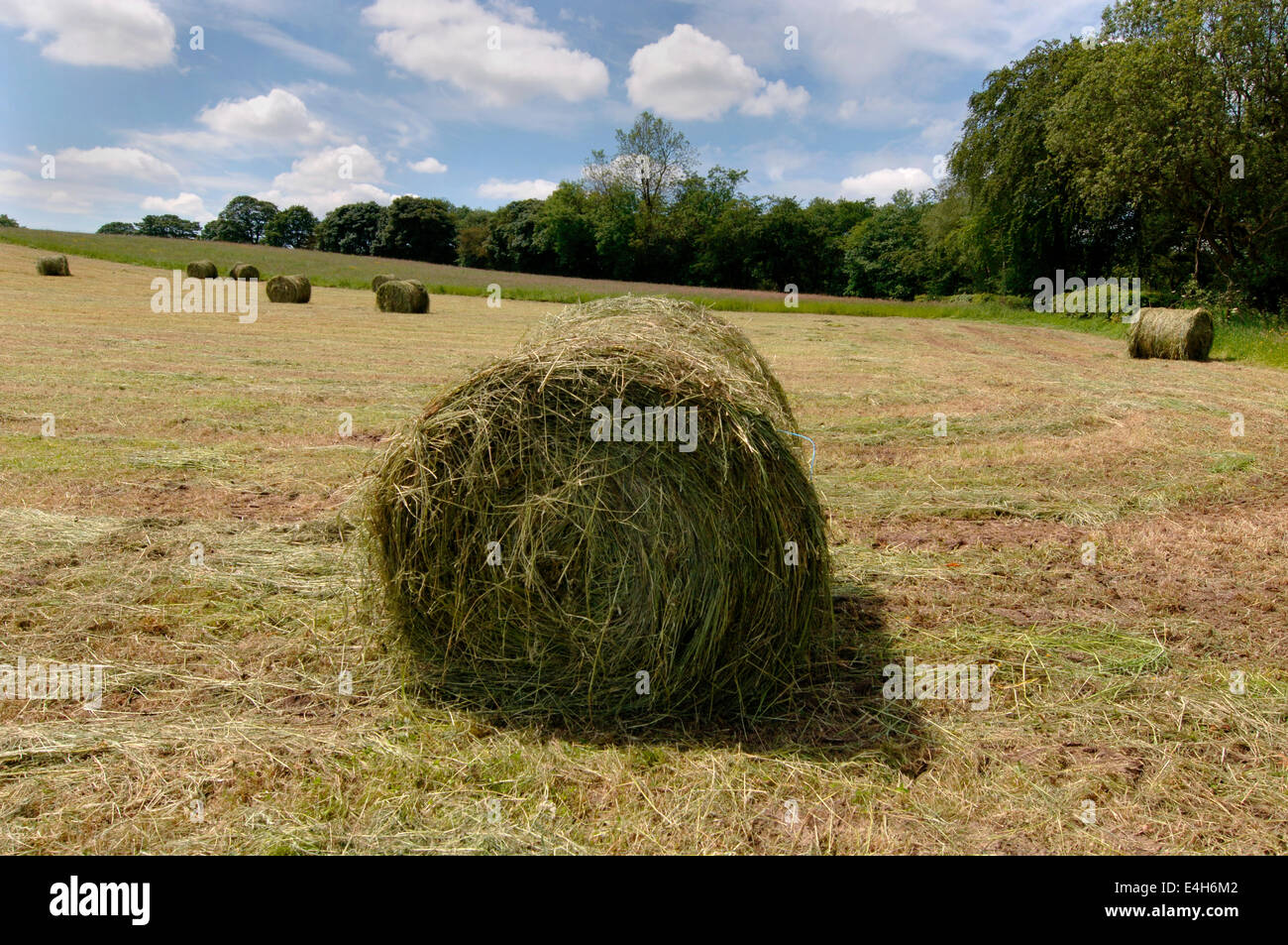 Bales Of Hay Stock Photo - Alamy
