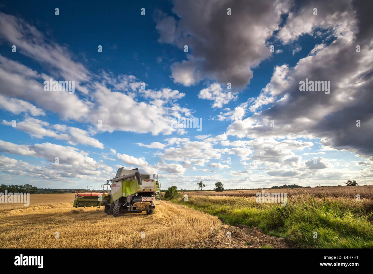 Combine harvester at work in a Norfolk barley field, UK Stock Photo - Alamy