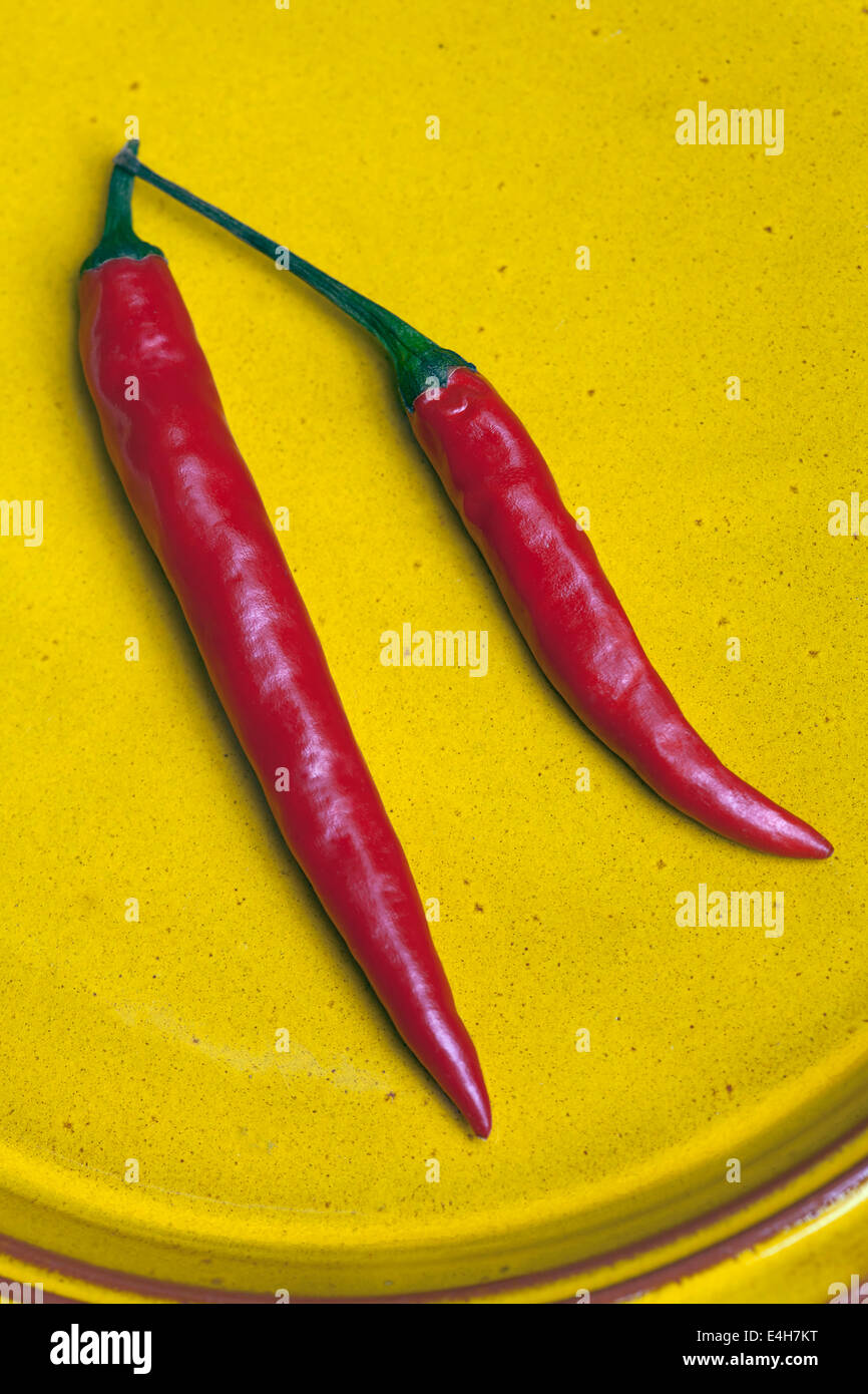 Chilli, Jalapeno chilli, Capsicum annuum Stock Photo - Alamy